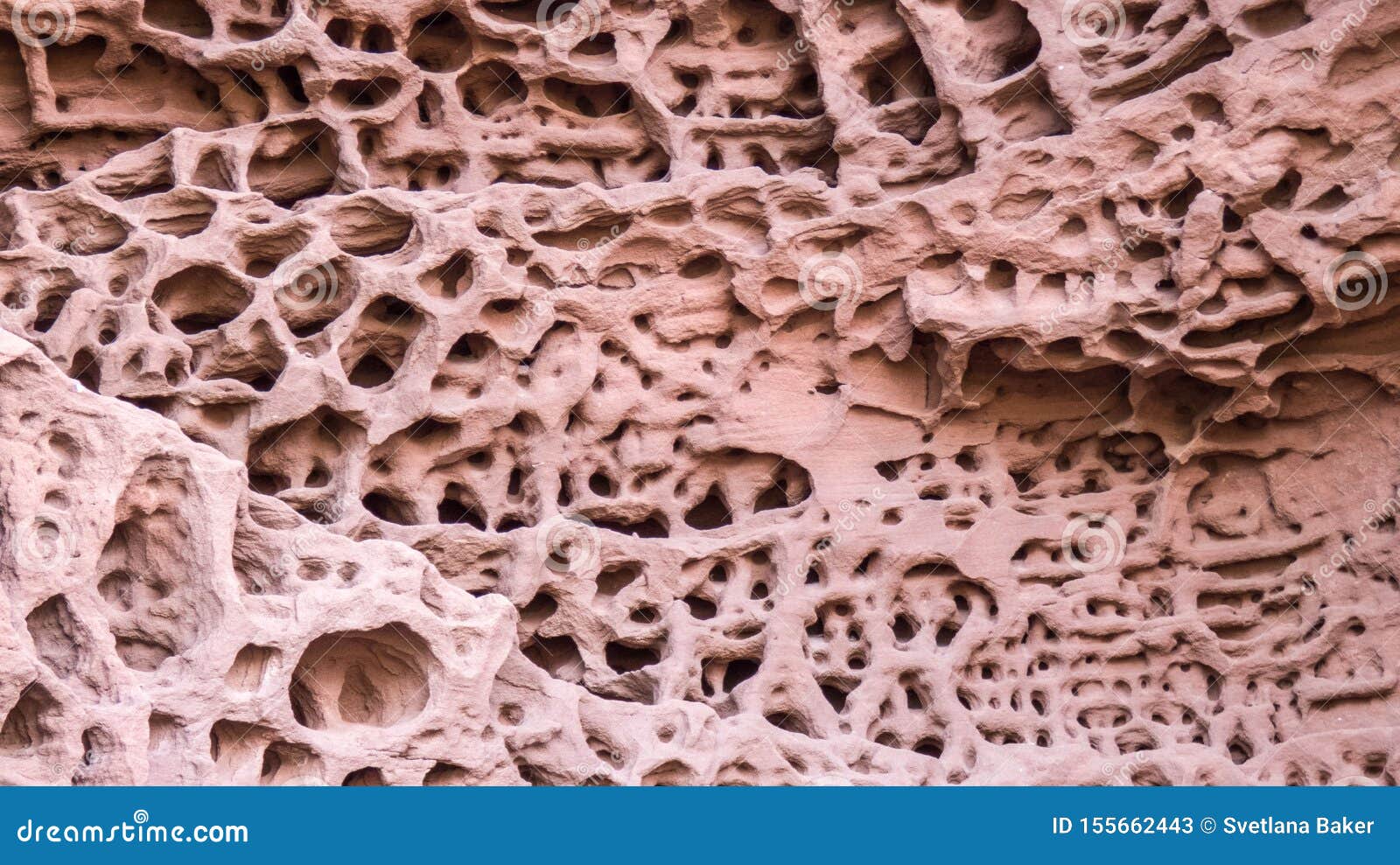 Sponge Structure Texture Background Royalty-Free Stock Photography ...