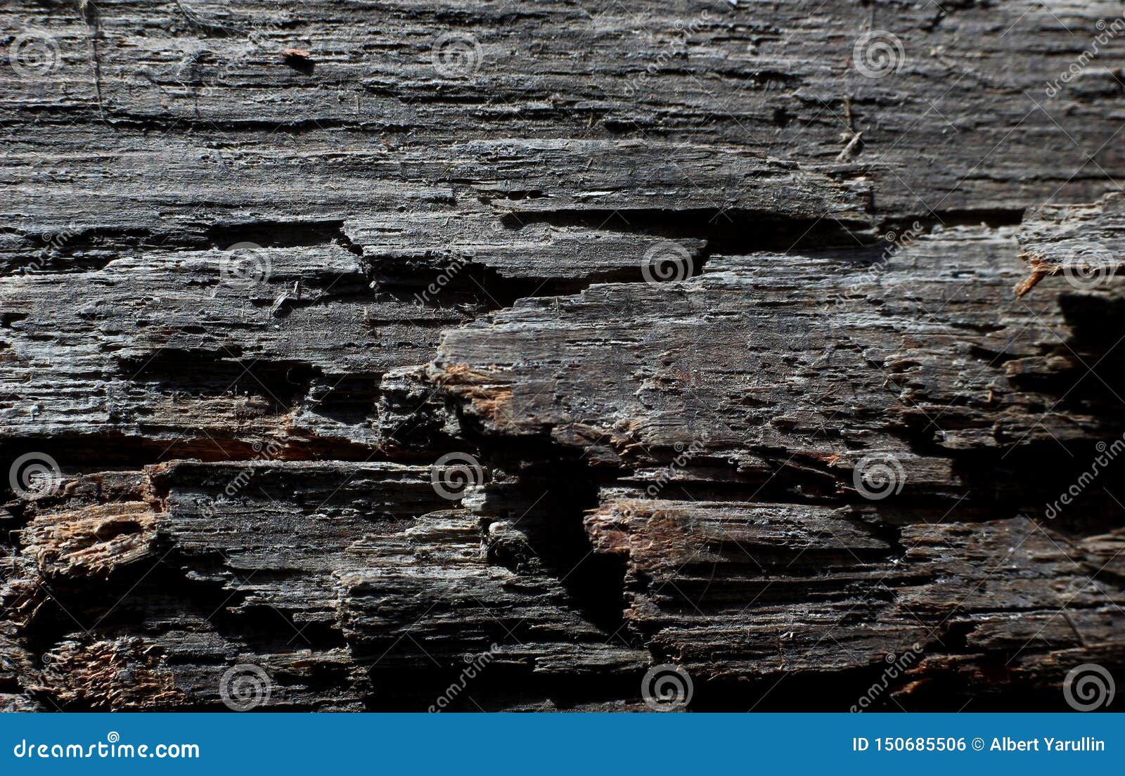 Uneven Structure of Old Tree As Background Stock Photo - Image of ...