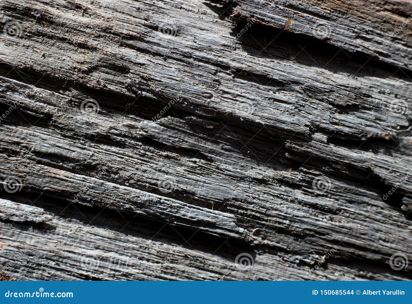 Uneven Structure of Old Tree As Background Stock Photo - Image of aged ...