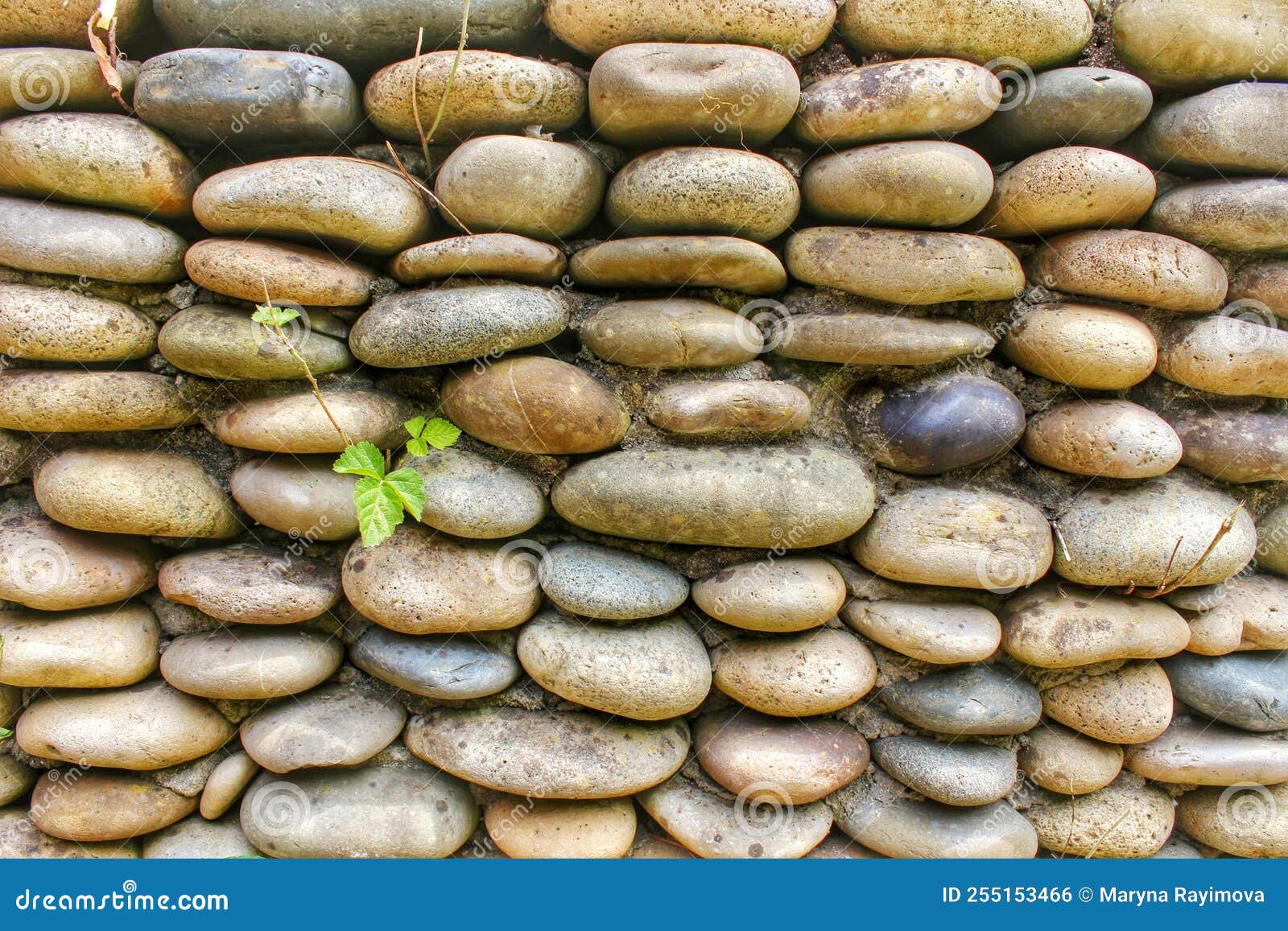 Unusual Wall of Multi-colored Stones Stock Photo - Image of beauty ...