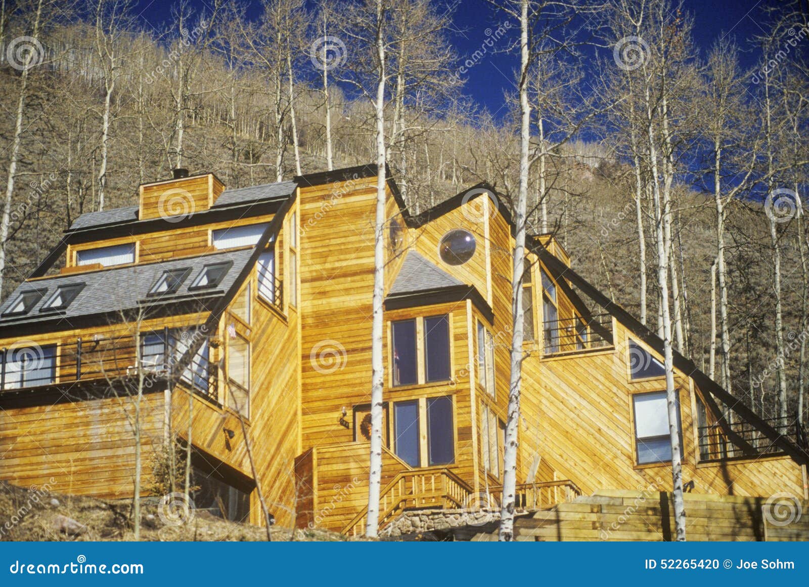 Unusual Wood Texture Closeup Photo. White Timber With Swirls On Green ...