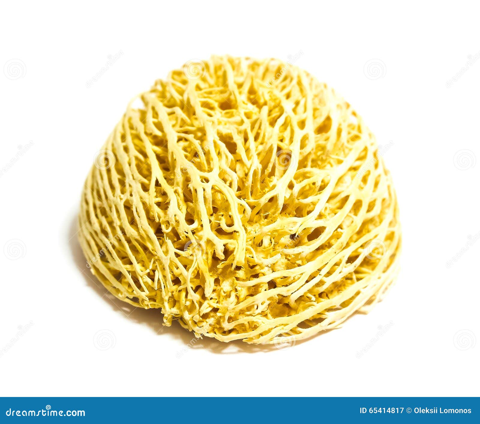 Unusual Yellow Walnut on White Background Stock Image - Image of ...