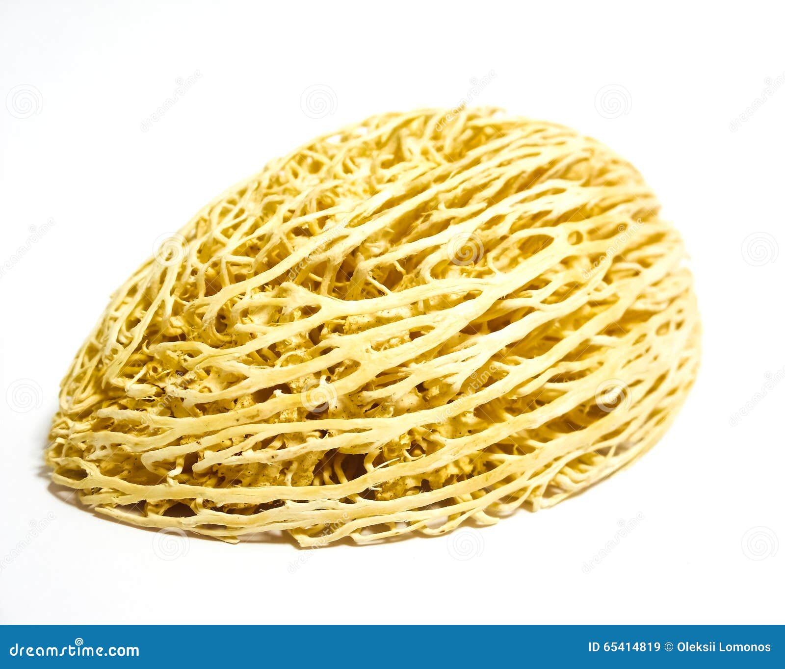 Unusual Yellow Walnut on White Background Stock Image - Image of ...