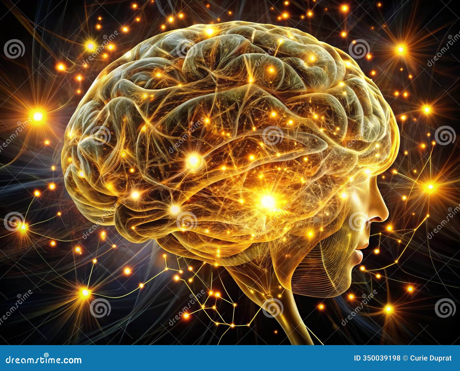 Unveiling the Golden Pathways of the Brain a Visual Exploration of ...