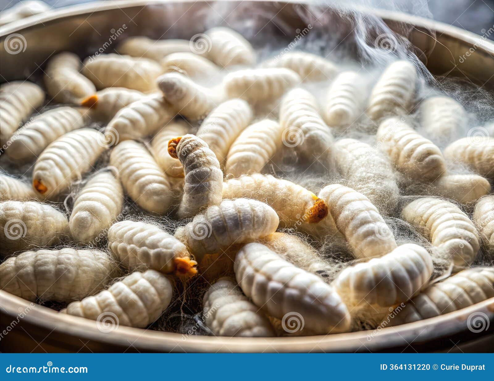 Silkworm Cartoons, Illustrations & Vector Stock Images - 1122 Pictures ...