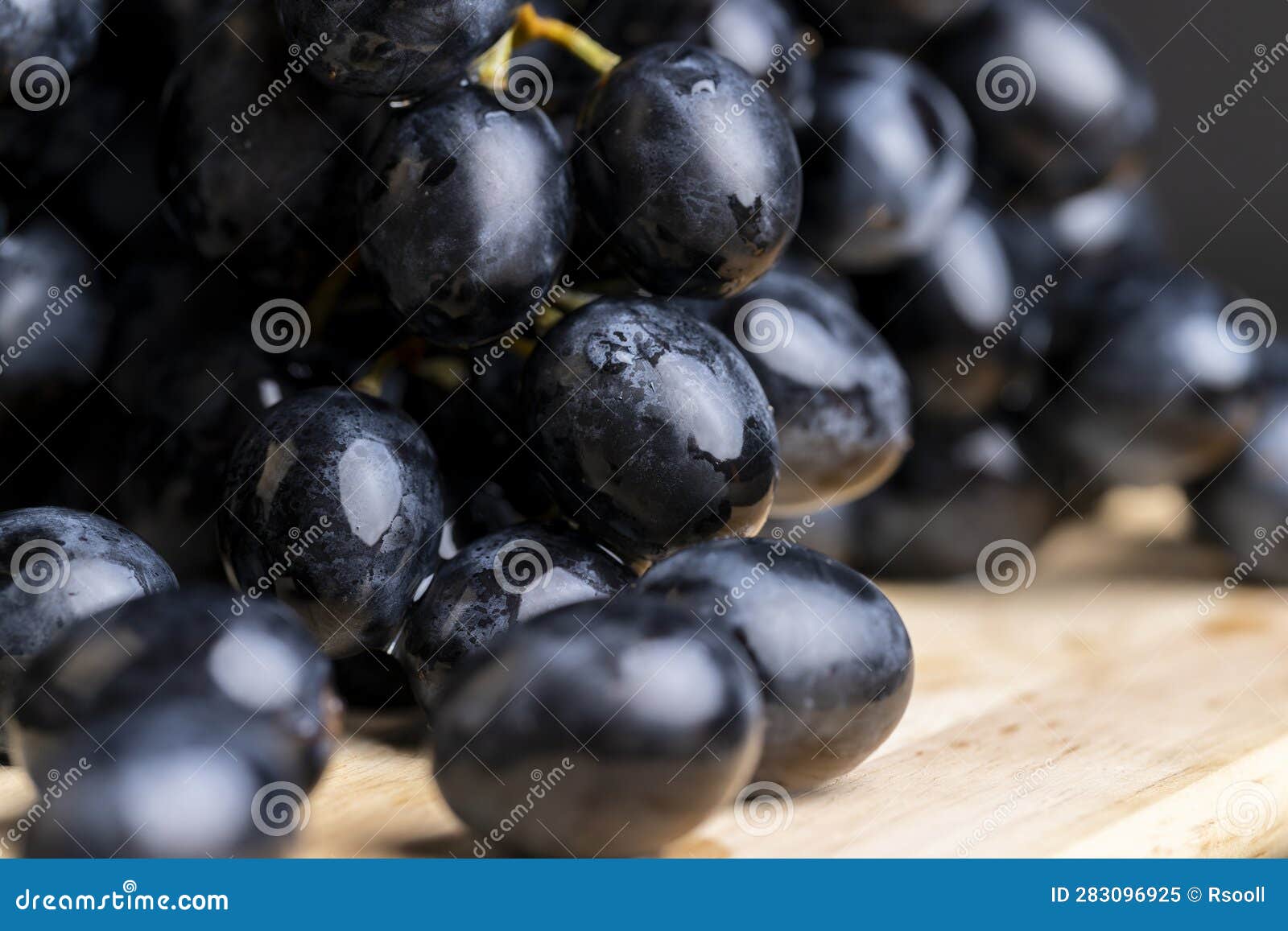 Unwashed Blue Grapes in the Dust Stock Image - Image of fruit, food ...