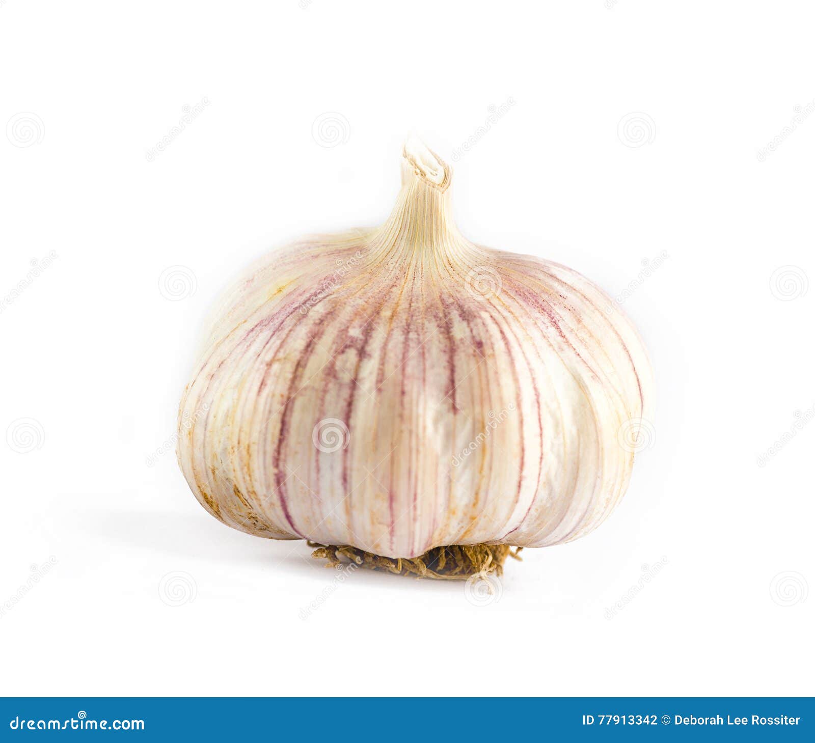 Unwashed pink garlic stock photo. Image of tradition - 77913342