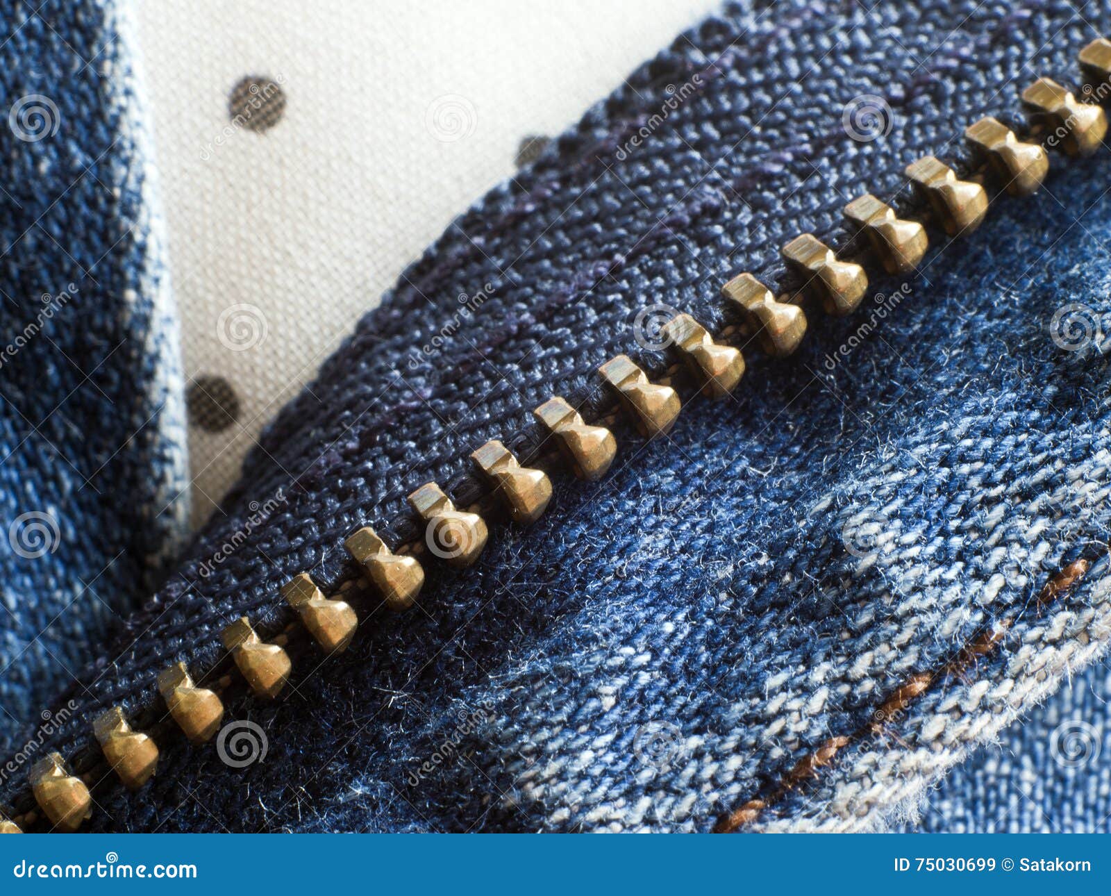 Unzip Jean stock image. Image of front, brass, fashion - 75030699