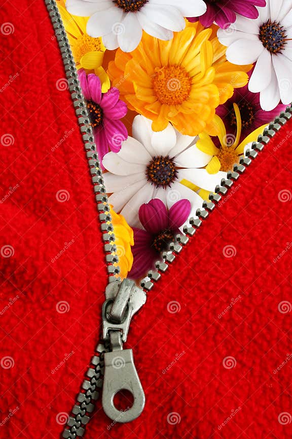 Unzipping spring stock image. Image of natural, flower - 2256777