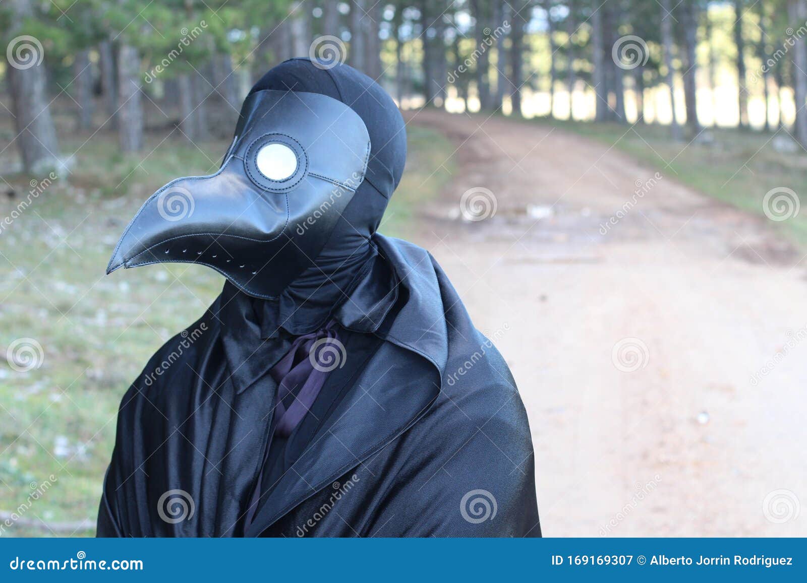 Uomo Avaro Con Maschera Di Corvo Immagine Stock - Immagine di vestito ...