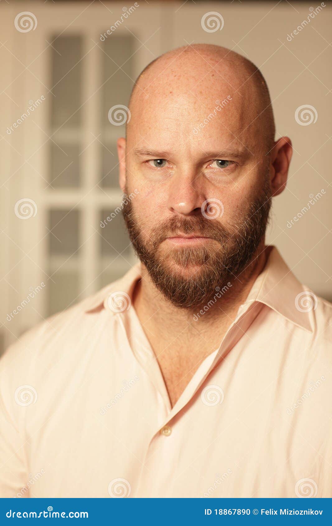 Uomo calvo bello fotografia stock. Immagine di capelli - 18867890