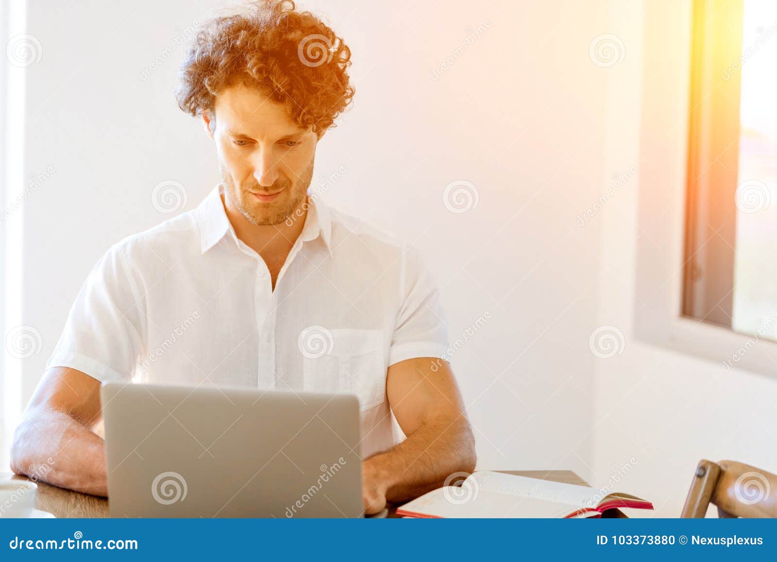 Uomo Che Lavora Al Computer Portatile Nel Paese Fotografia Stock ...