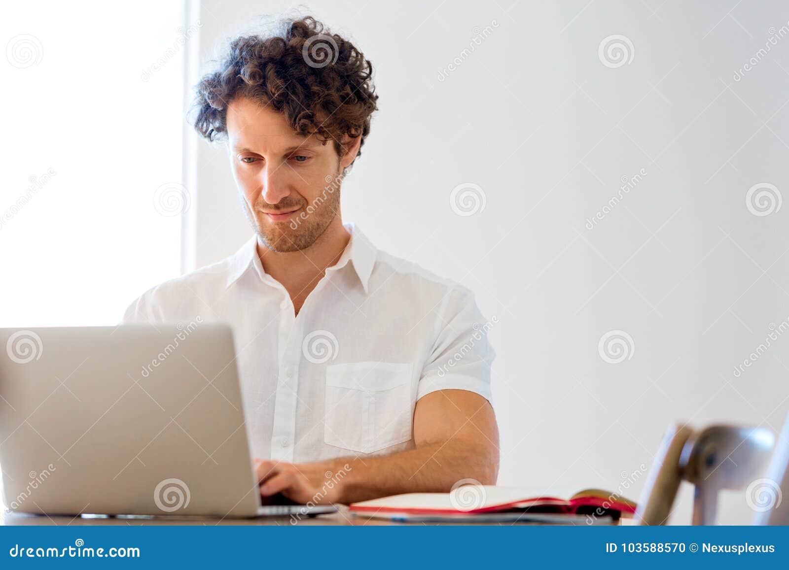 Uomo Che Lavora Al Computer Portatile Nel Paese Fotografia Stock ...