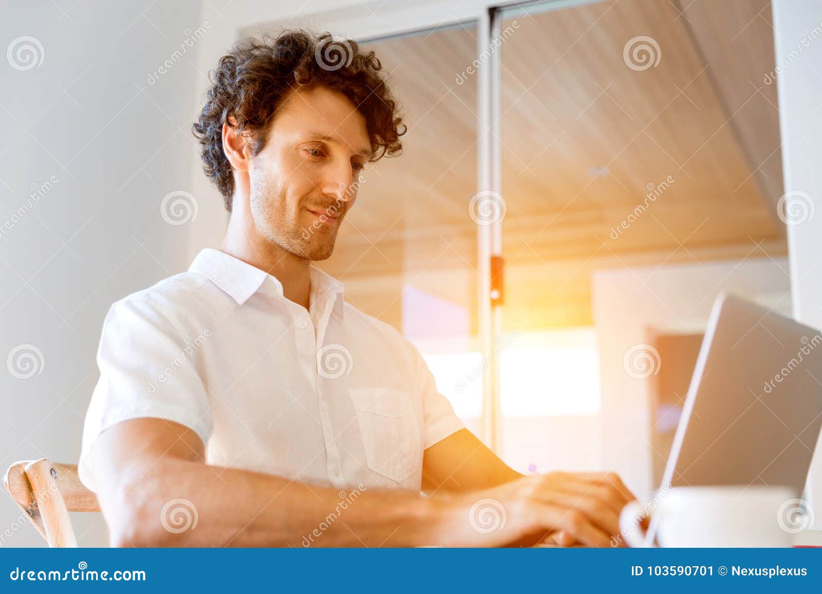 Uomo Che Lavora Al Computer Portatile Nel Paese Immagine Stock ...