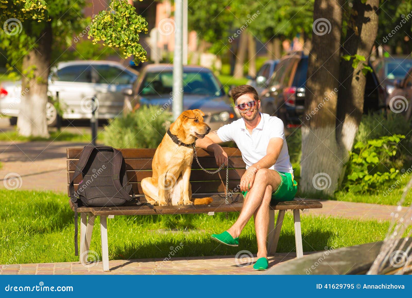 Uomo Con Il Cane Sul Banco in Parco Immagine Stock - Immagine di banco ...