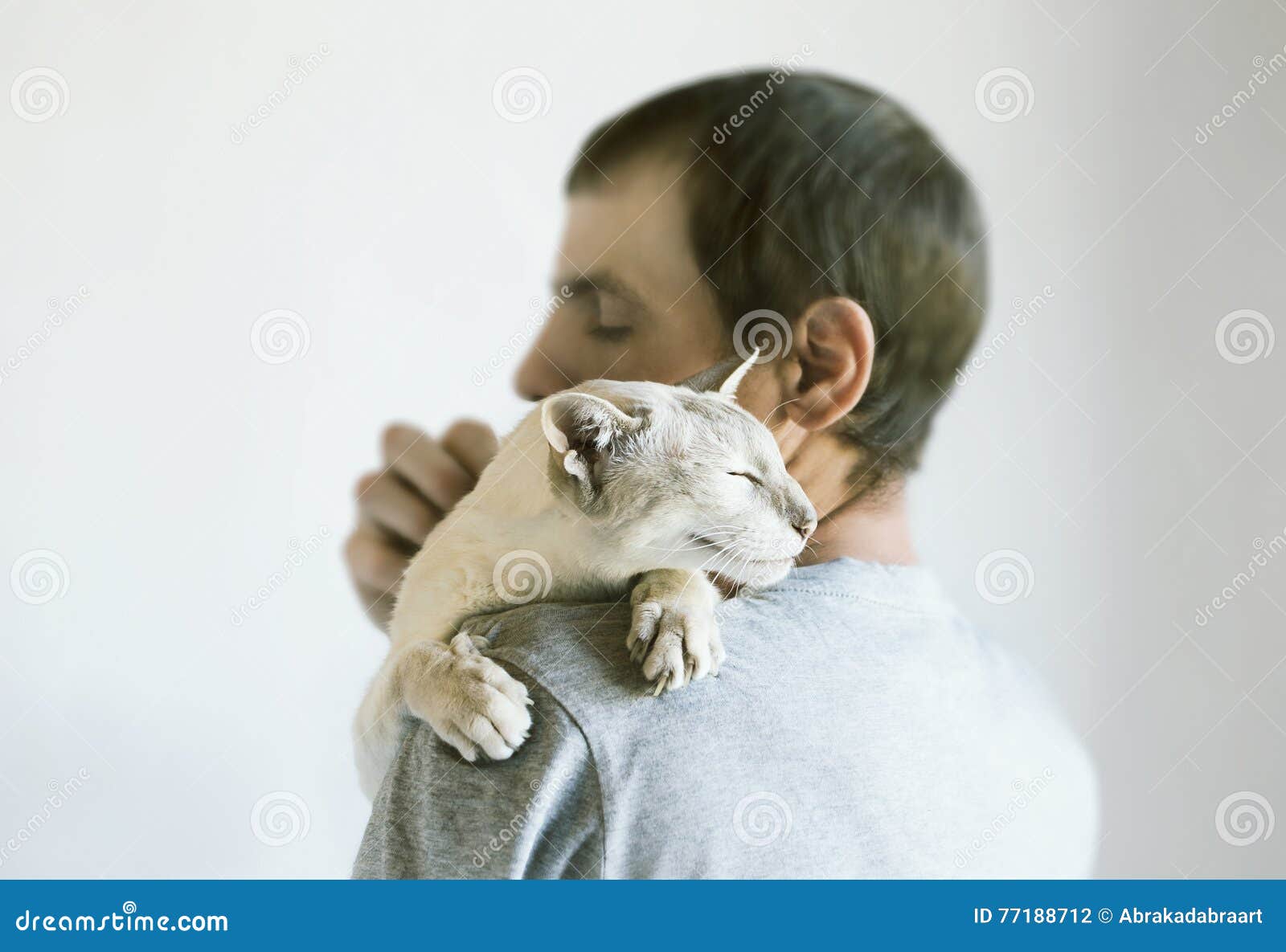 Uomo ed il suo gatto fotografia stock. Immagine di pets - 77188712