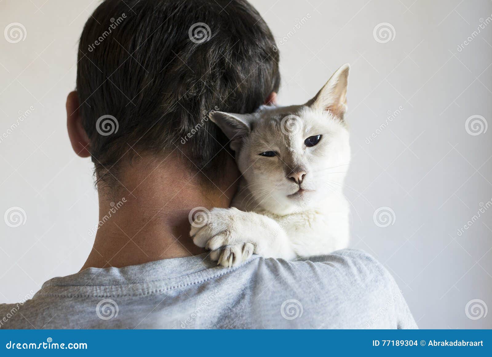 Uomo ed il suo gatto fotografia stock. Immagine di grigio - 77189304