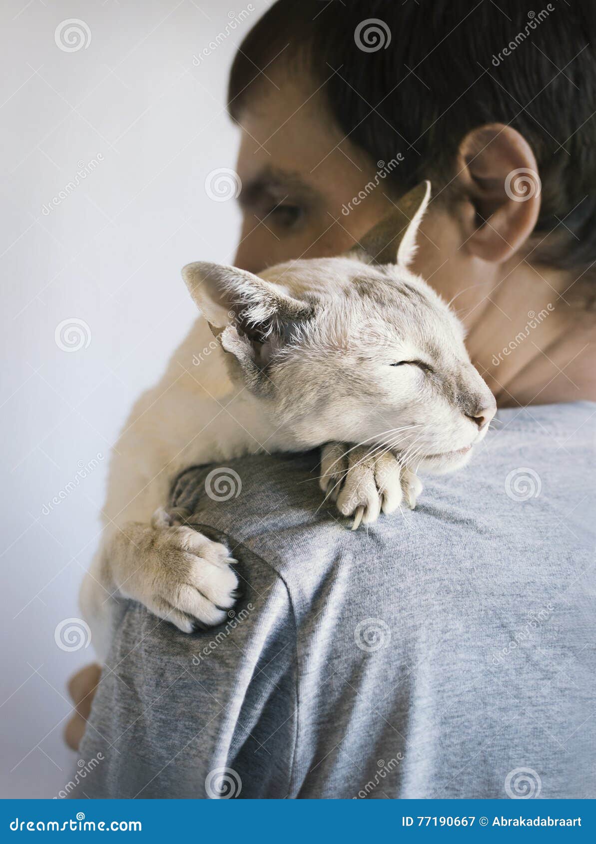 Uomo ed il suo gatto immagine stock. Immagine di uomo - 77190667