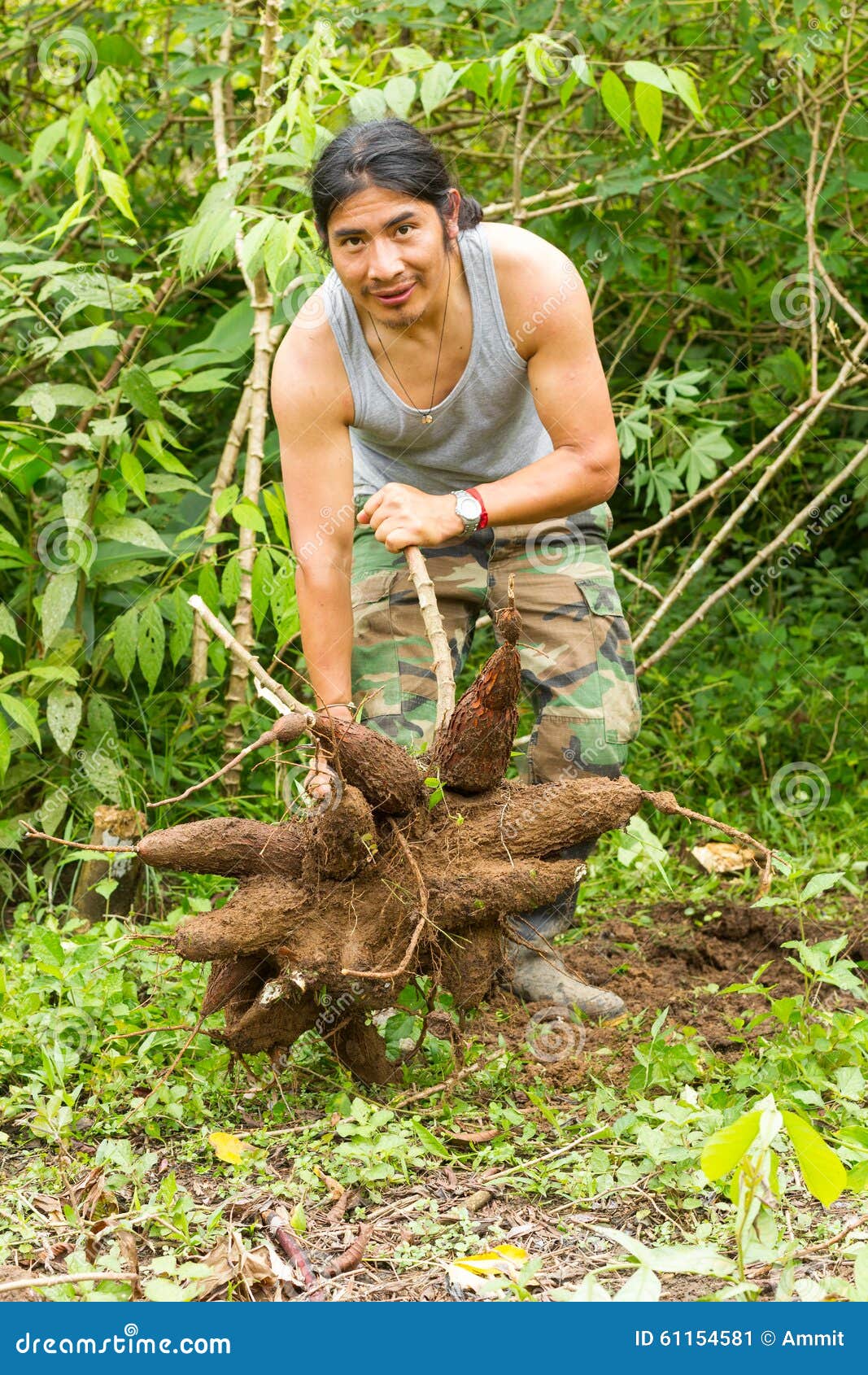 Uomo Indigeno Con Le Radici Della Tapioca Immagine Stock - Immagine di ...
