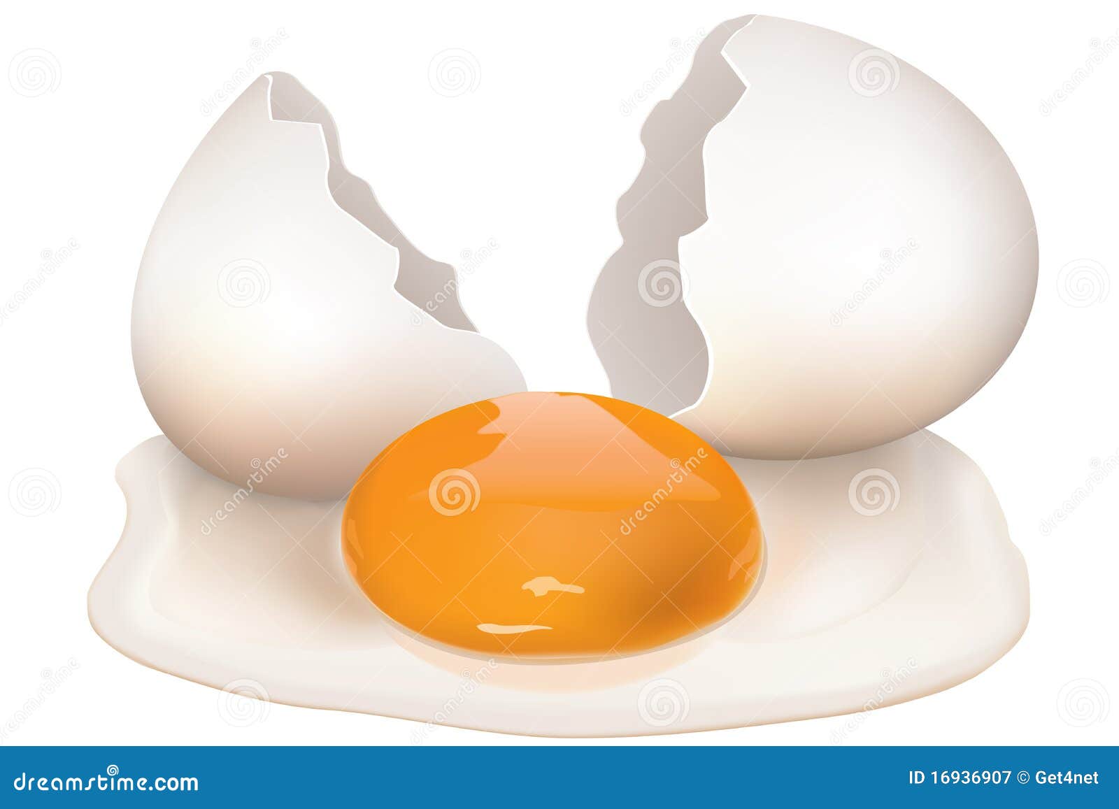Uovo rotto illustrazione di stock. Illustrazione di caduta - 16936907