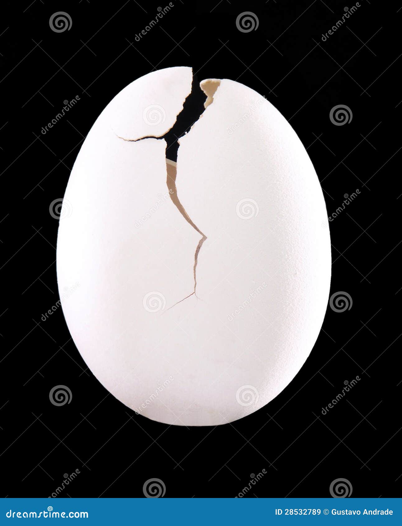 Uovo rotto. immagine stock. Immagine di sopportato, alimento - 28532789