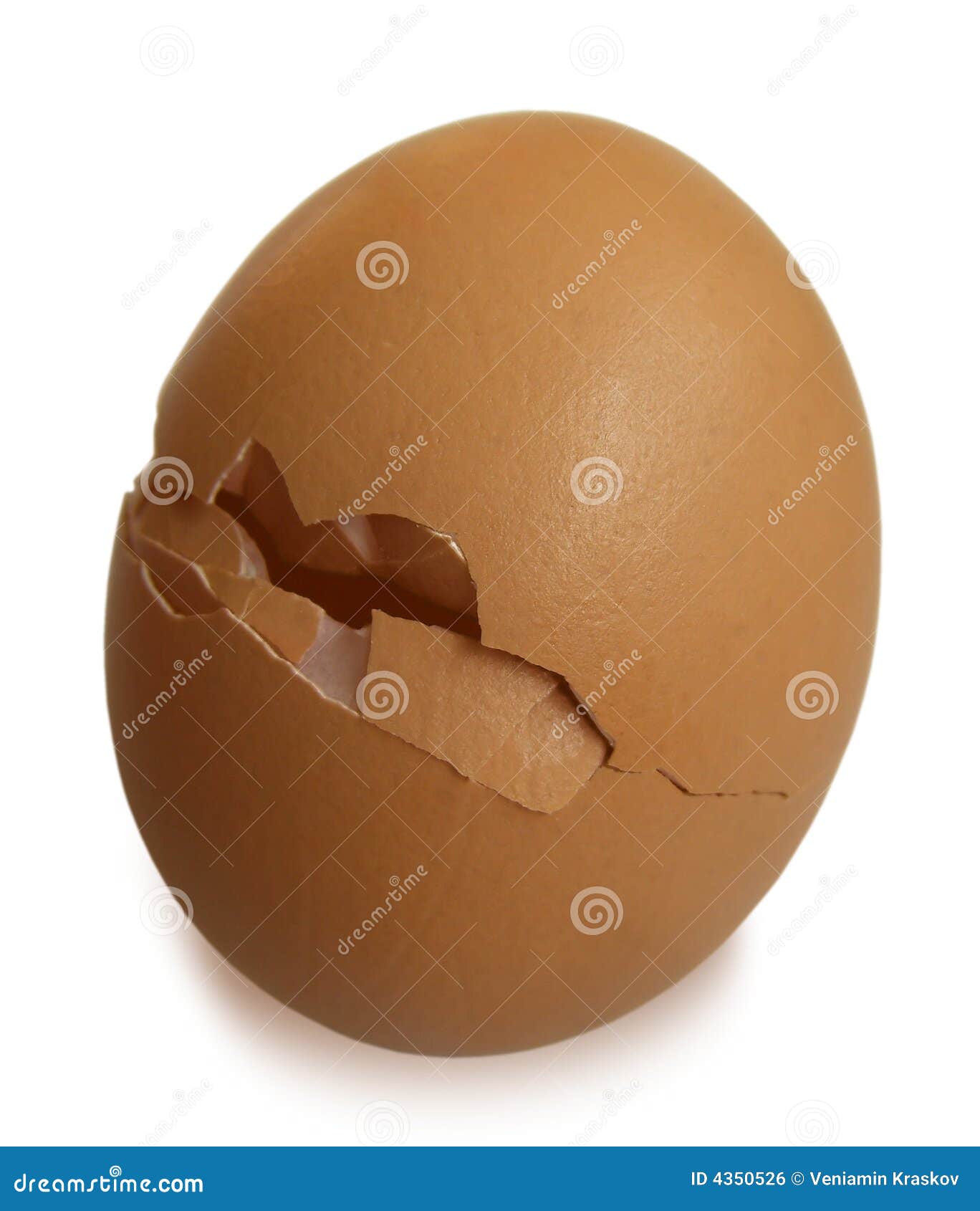 Uovo-rotto fotografia stock. Immagine di nido, covata - 4350526