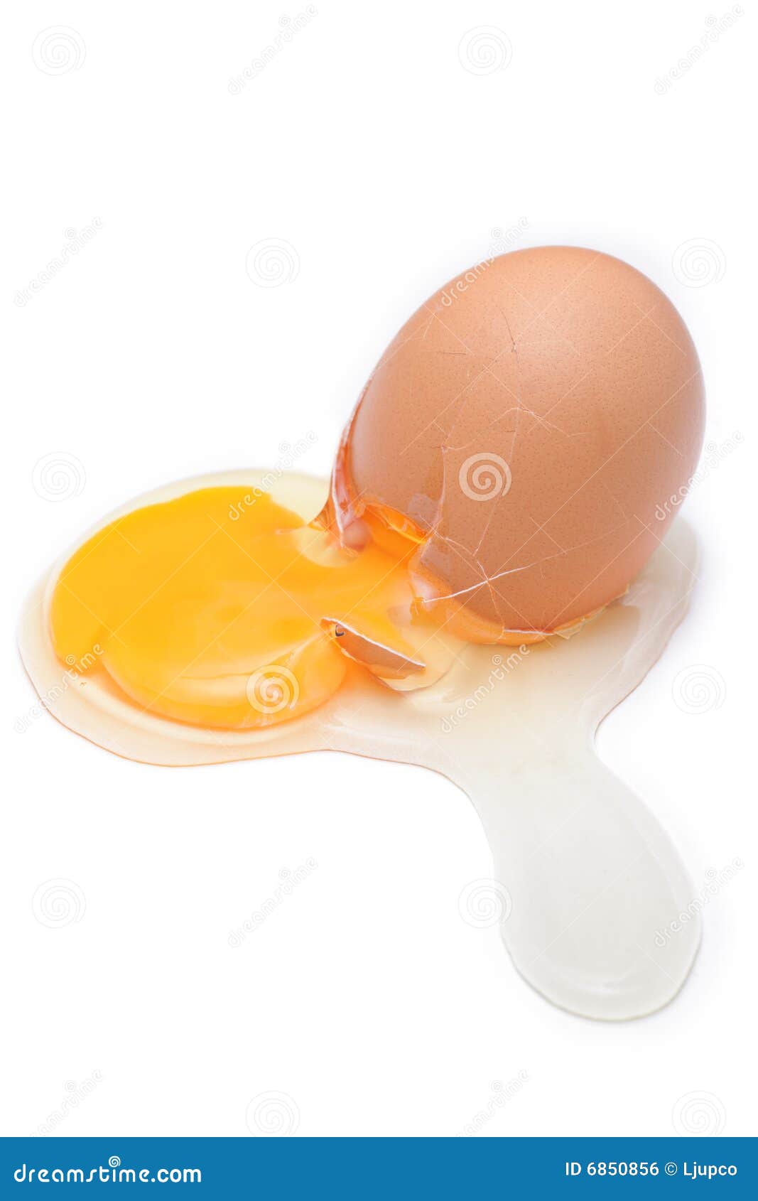 Uovo rotto fotografia stock. Immagine di rotto, animale - 6850856