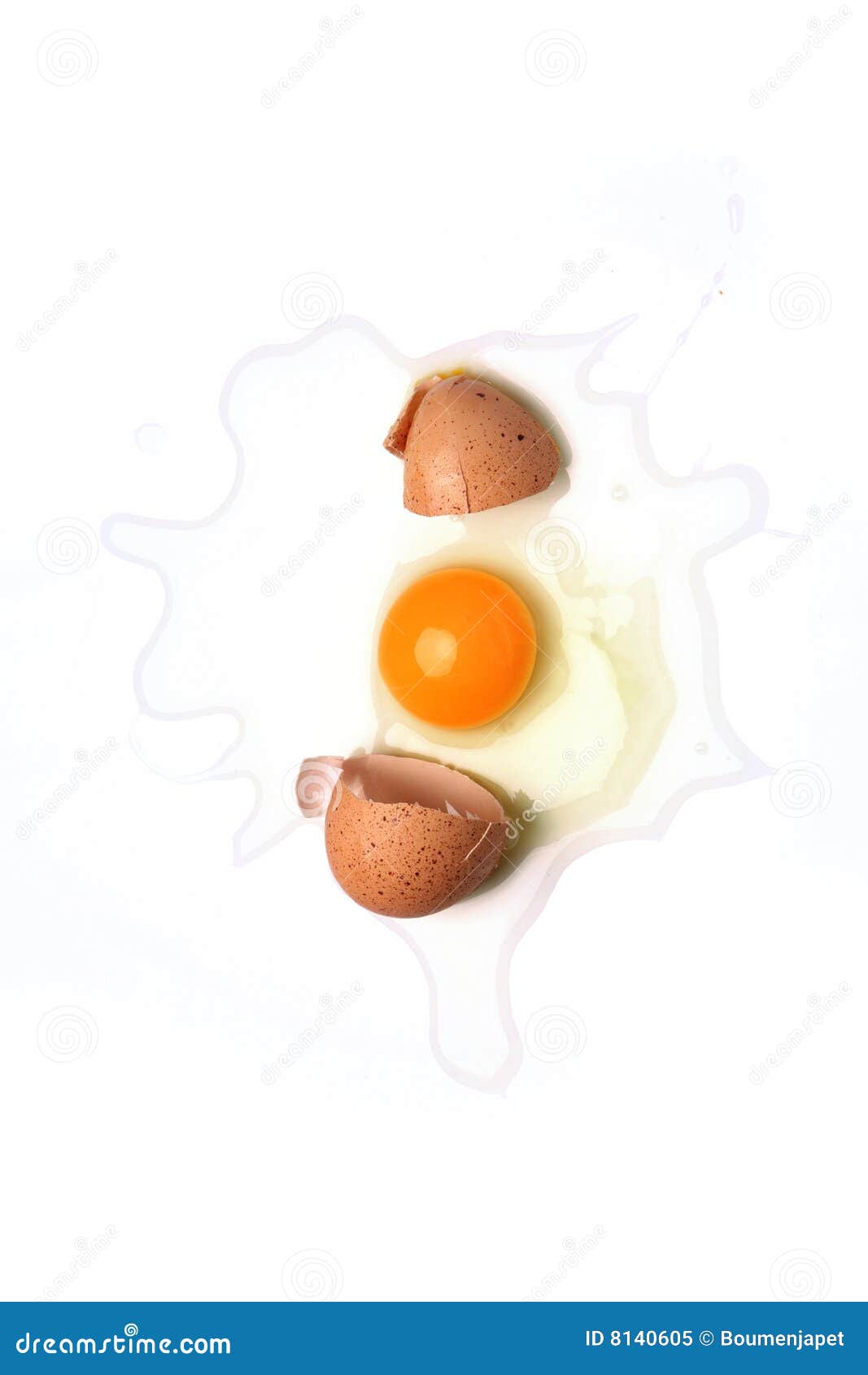 Uovo rotto. immagine stock. Immagine di proteina, albume - 8140605