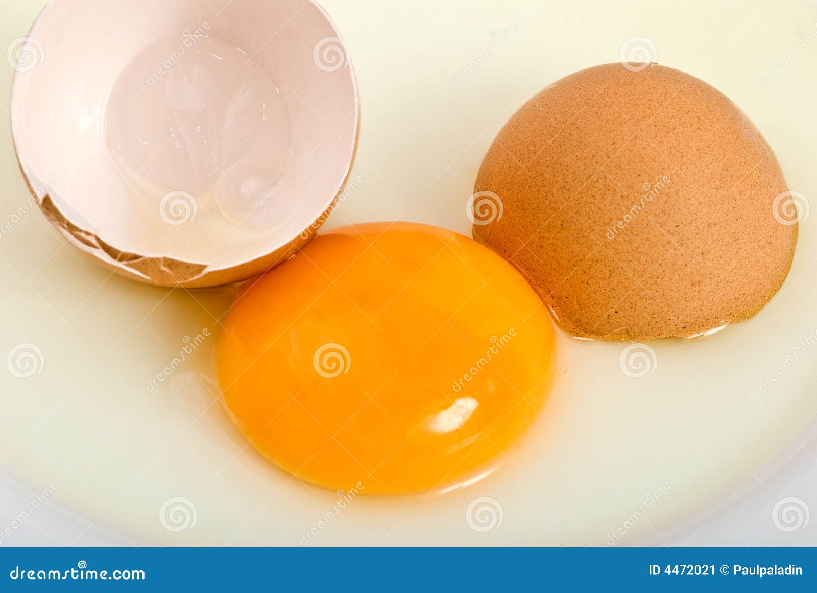 Uovo rotto del pollo immagine stock. Immagine di alimento - 4472021