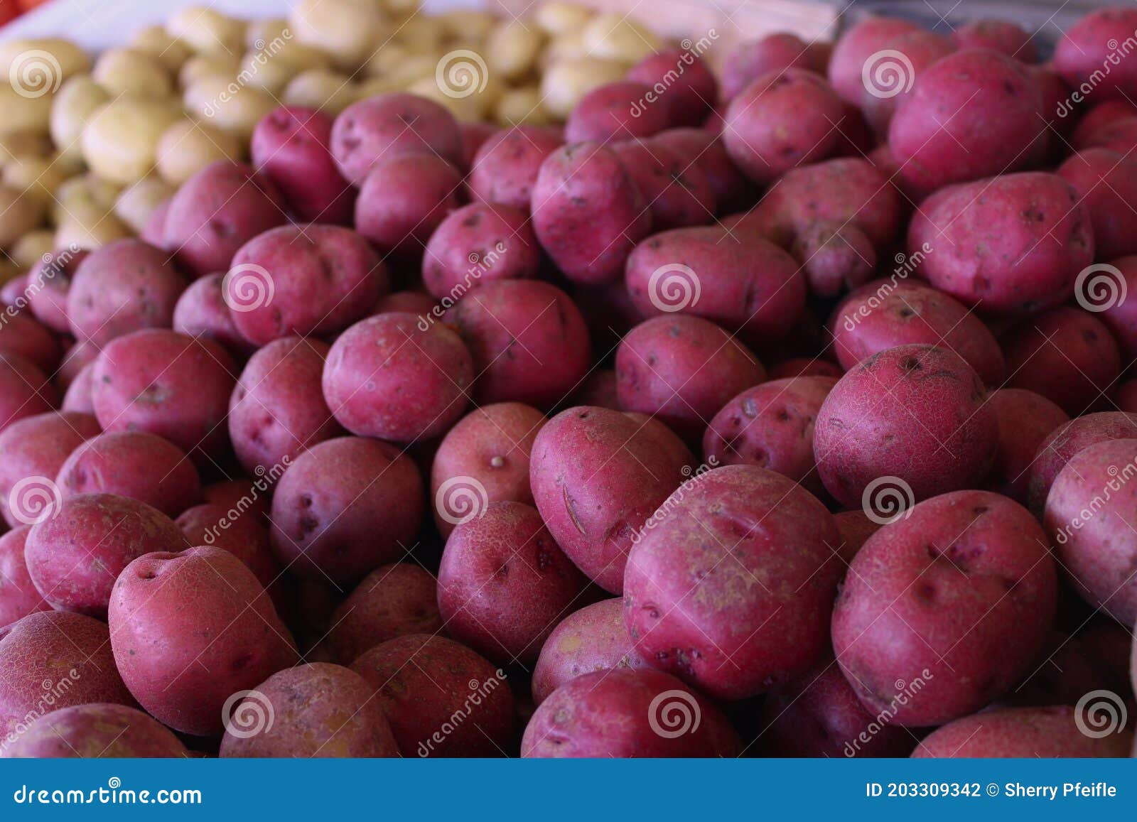 Up-close Image of Red Potatoes at a Farmer`s Market Stock Photo - Image ...