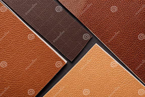 Up-close Look at an Assortment of Brown Leather Samples with Unique ...
