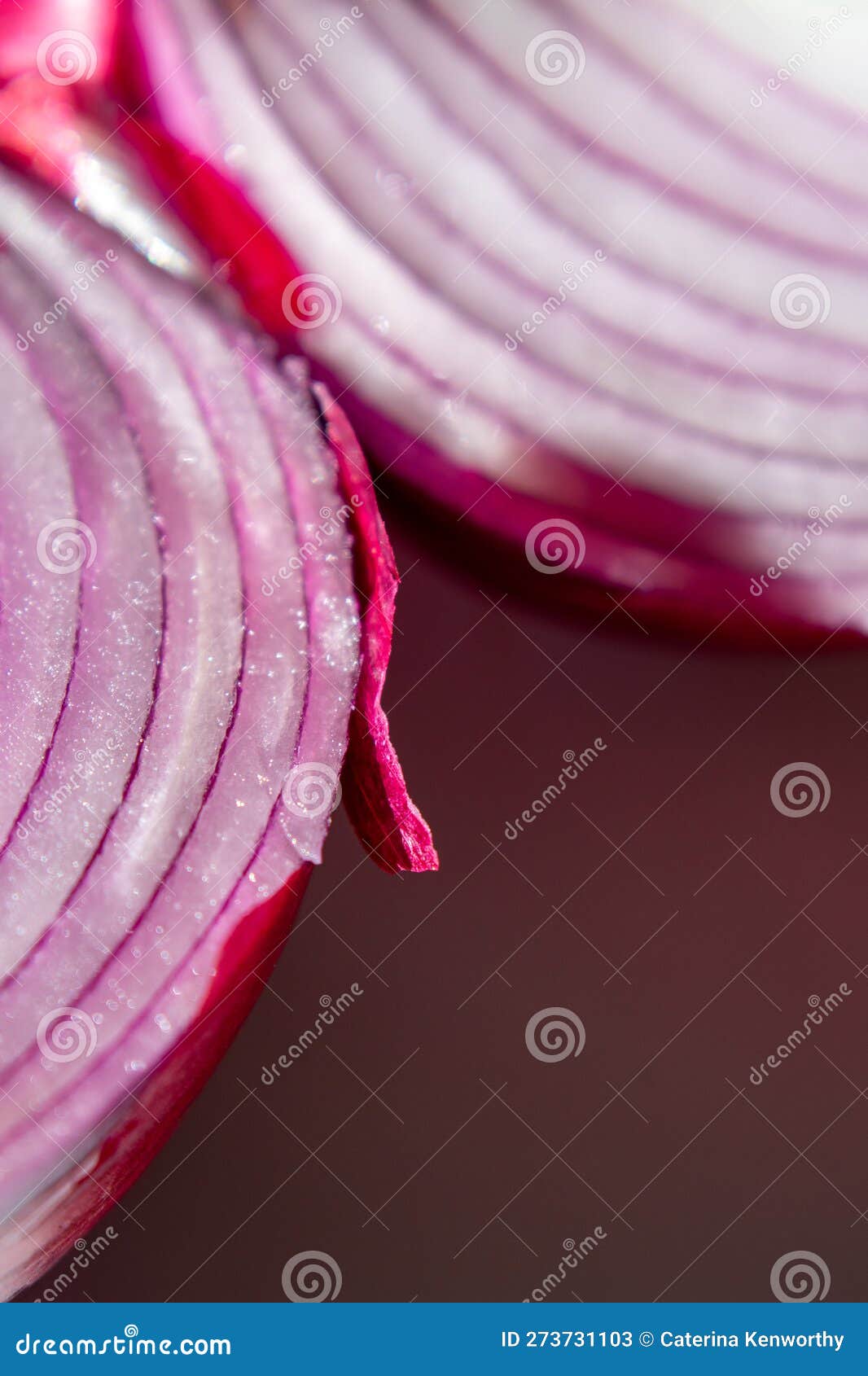 Up Close Texture of the Inside of a Red Onion Stock Image - Image of ...
