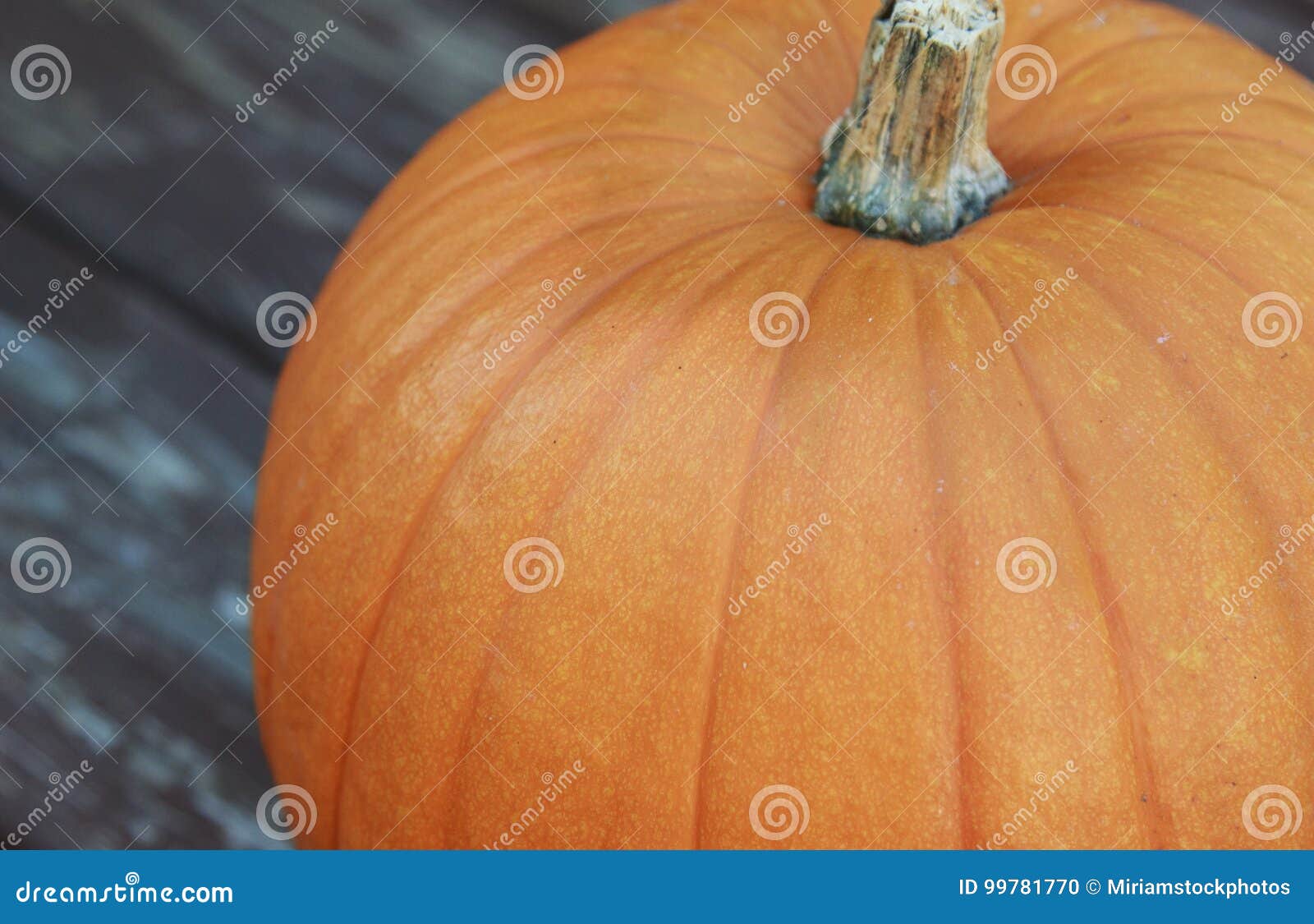 Up Close View of a Large Orange Pumpkin Stock Photo - Image of natural ...