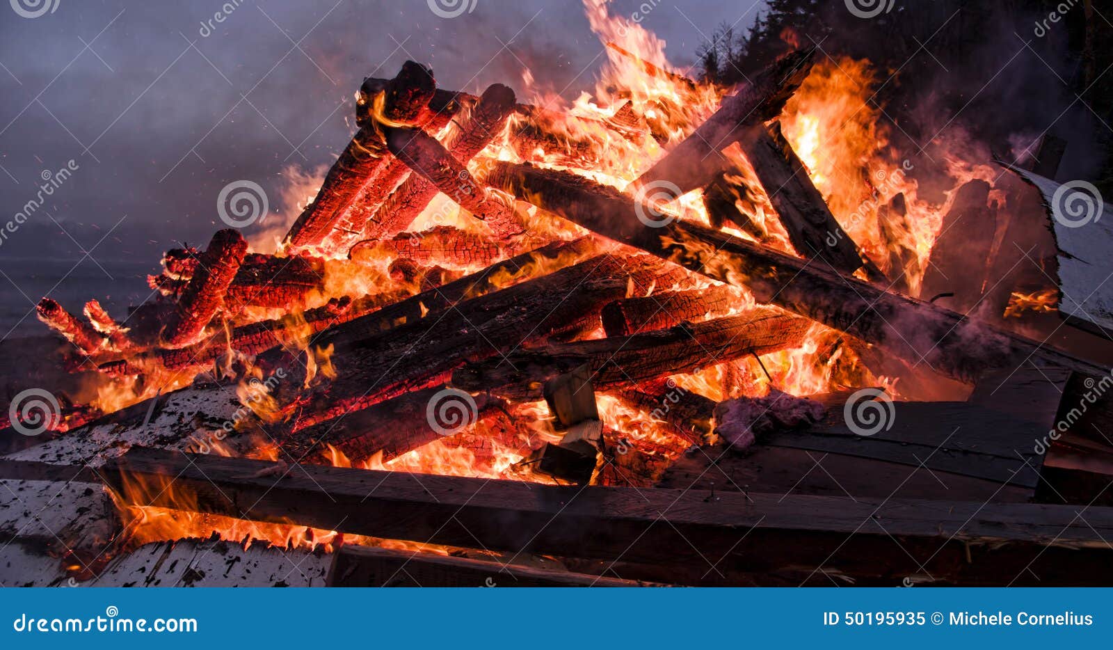 Up in flames stock image. Image of engulfed, beach, burning - 50195935