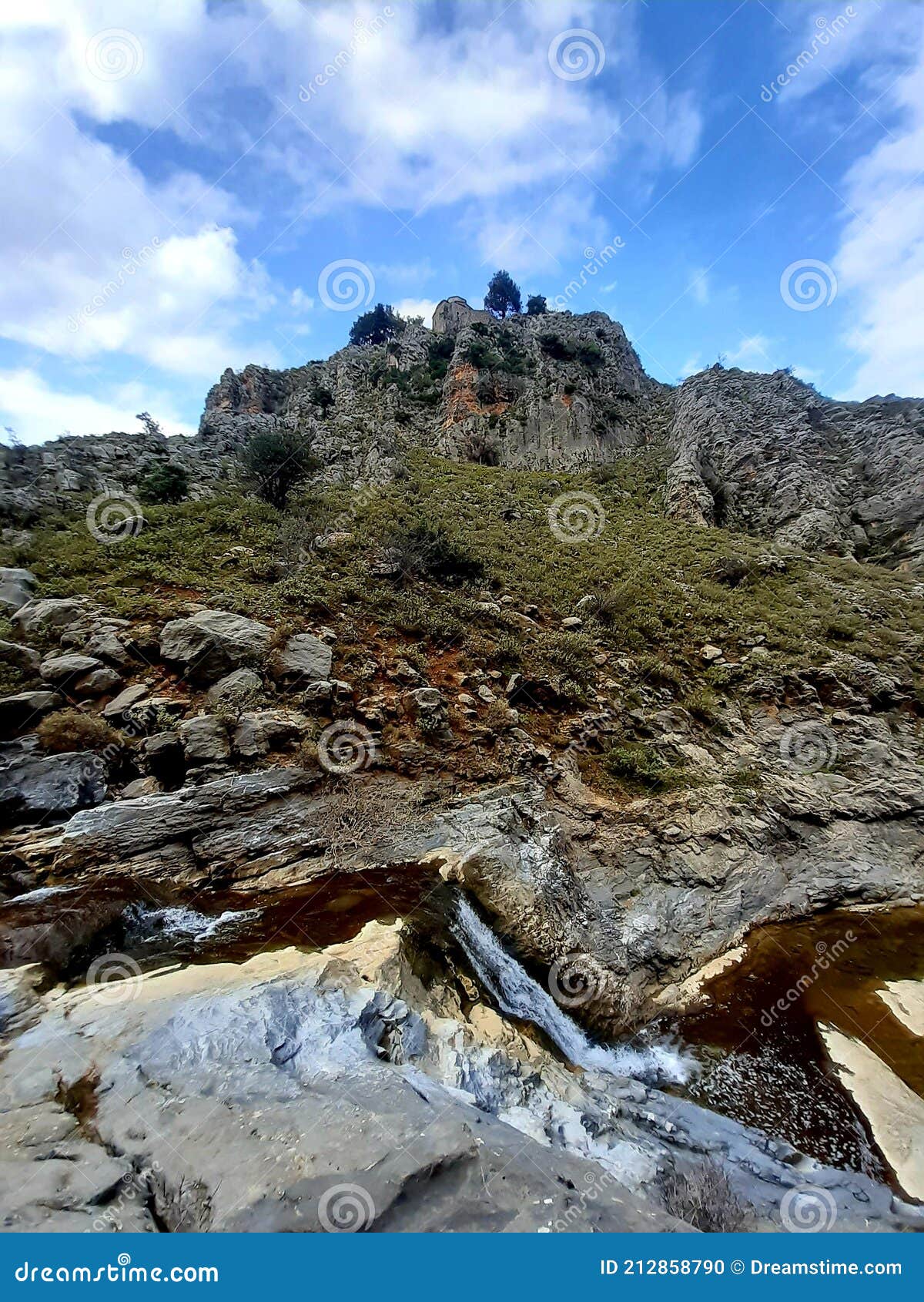 Up in the mountains stock photo. Image of rock, tree - 212858790