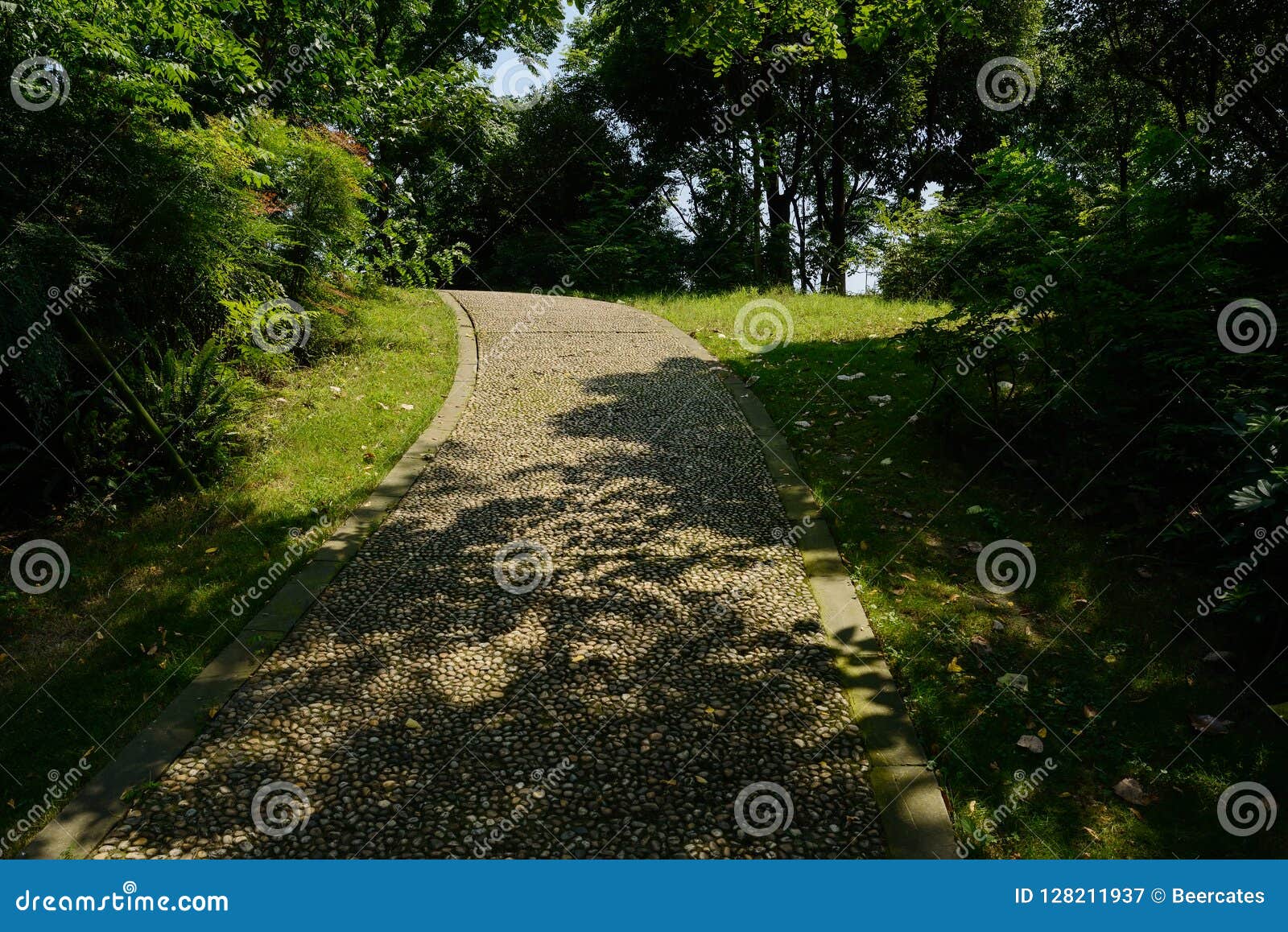 Up-slope Cobblestone Path in Plants of Sunny Summer Stock Image - Image ...