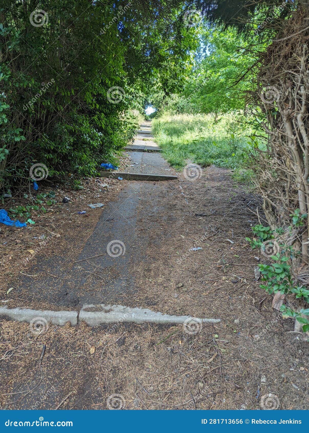 Up the ten steps stock photo. Image of green, grass - 281713656
