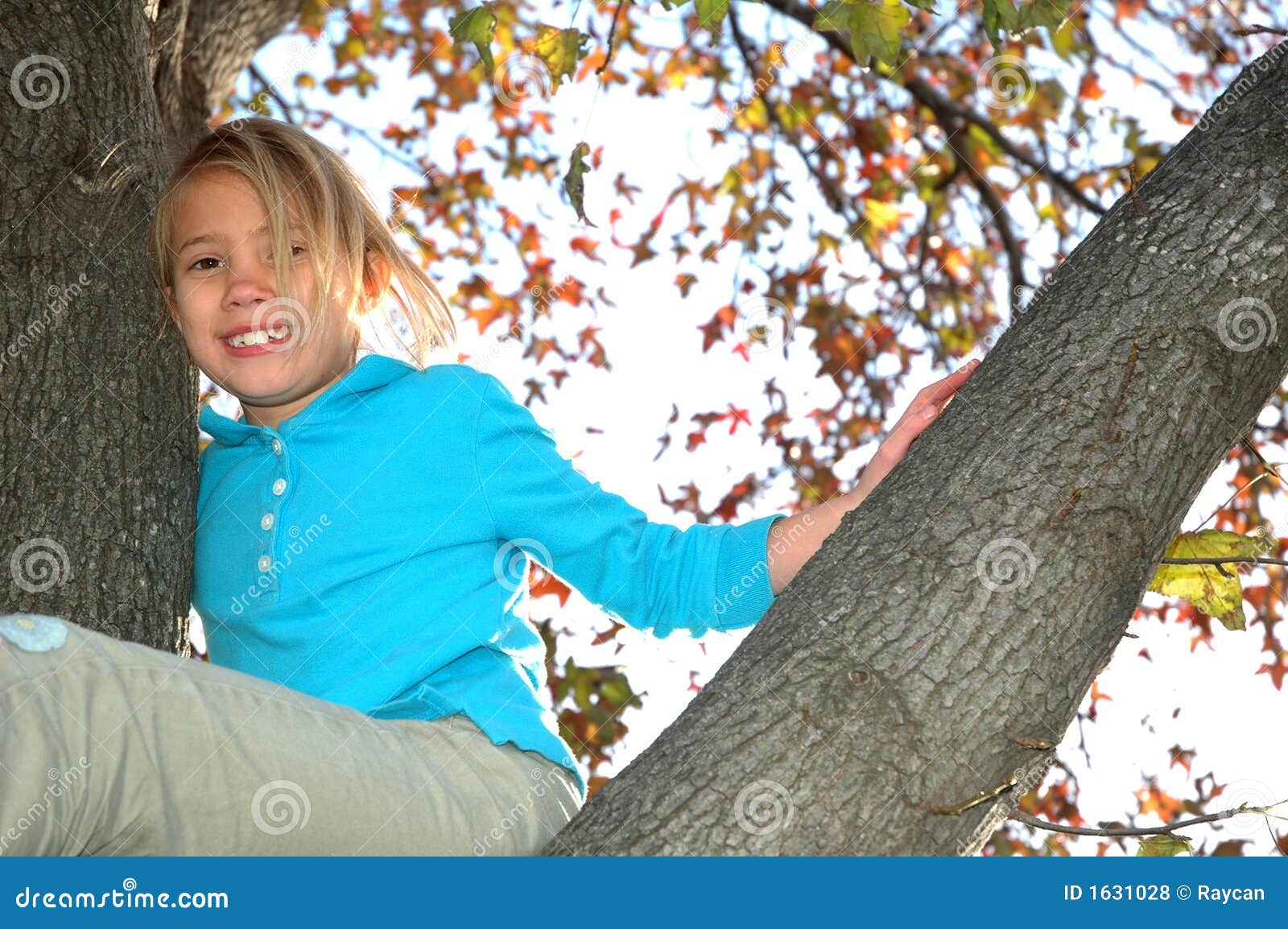 Up in a tree stock photo. Image of healthy, girl, concept - 1631028
