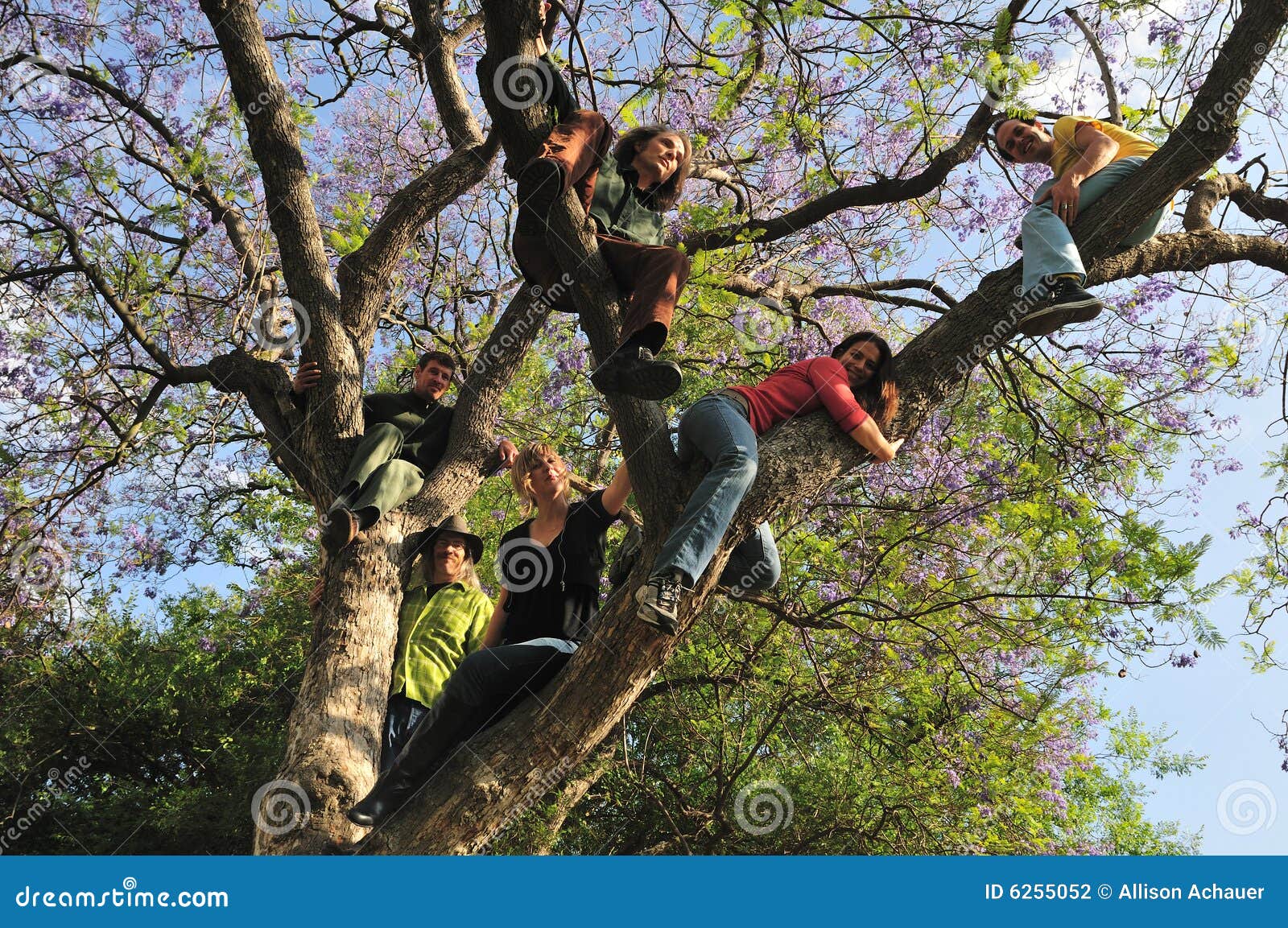 Up a tree stock photo. Image of park, friends, enjoyment - 6255052