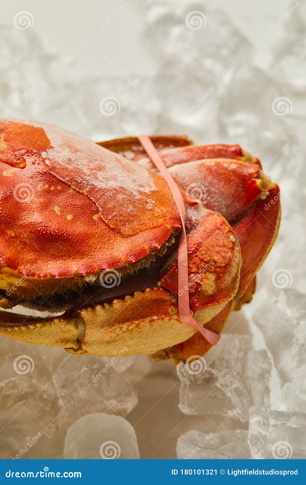 Up View of Frozen Uncooked Crab Stock Image - Image of fresh, uncooked ...