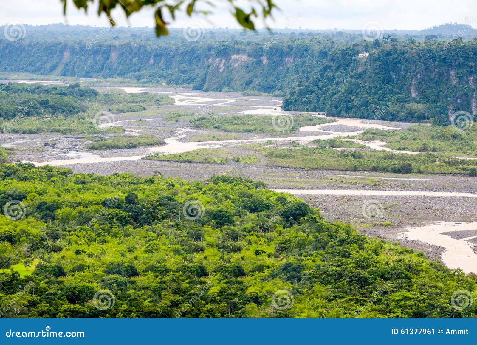 Upano River Basin stock image. Image of macas, dense - 61377961