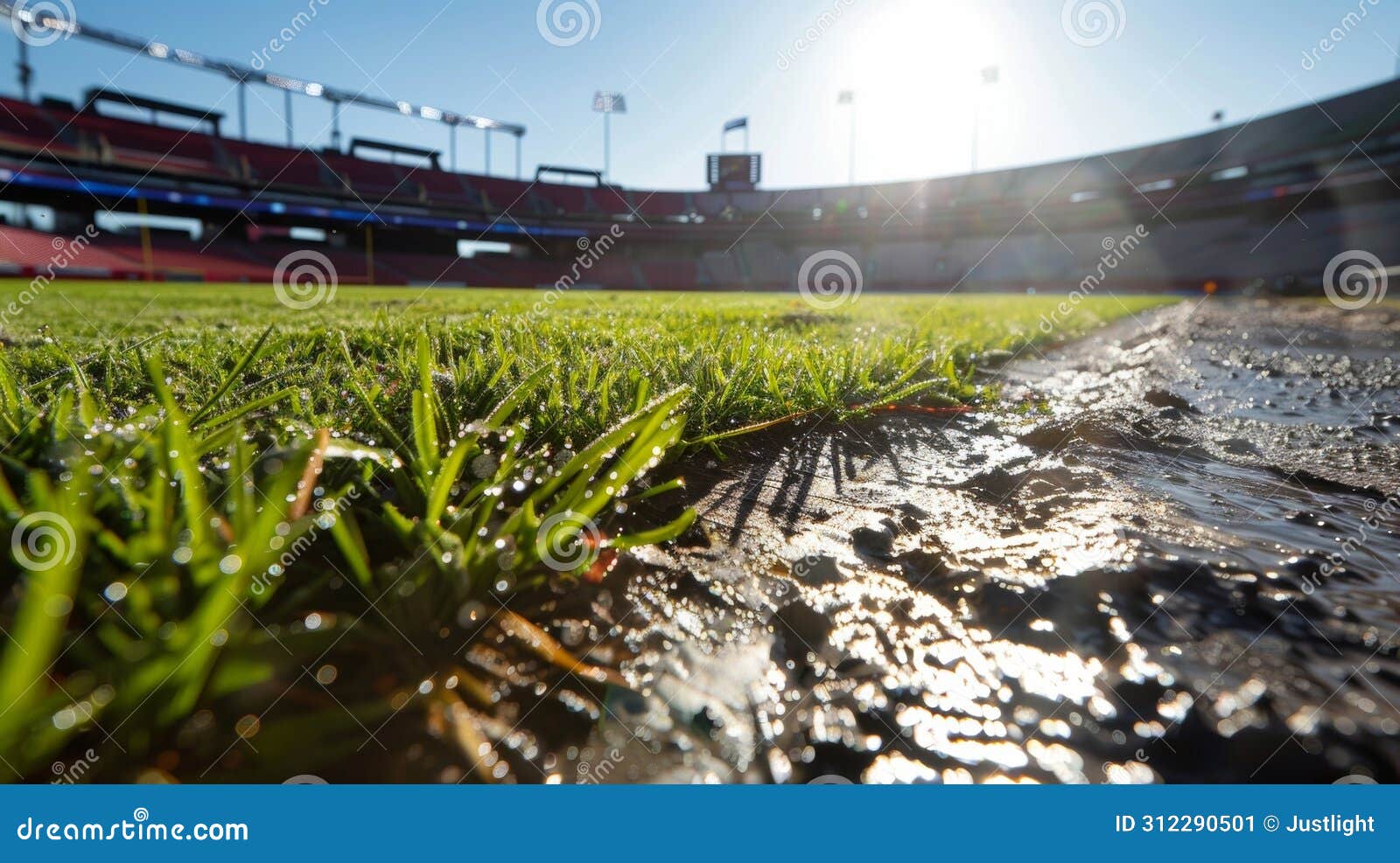 An Upclose Look at the Stadiums Field Drainage System Essential for ...