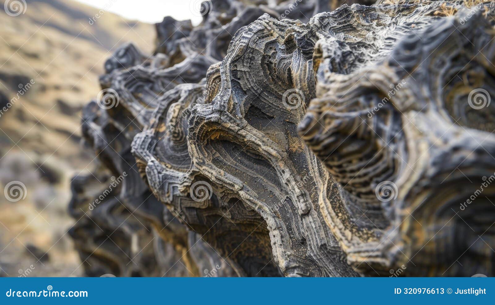 An Upclose Shot of the Unique Texture and Shape of a Basalt Column with ...