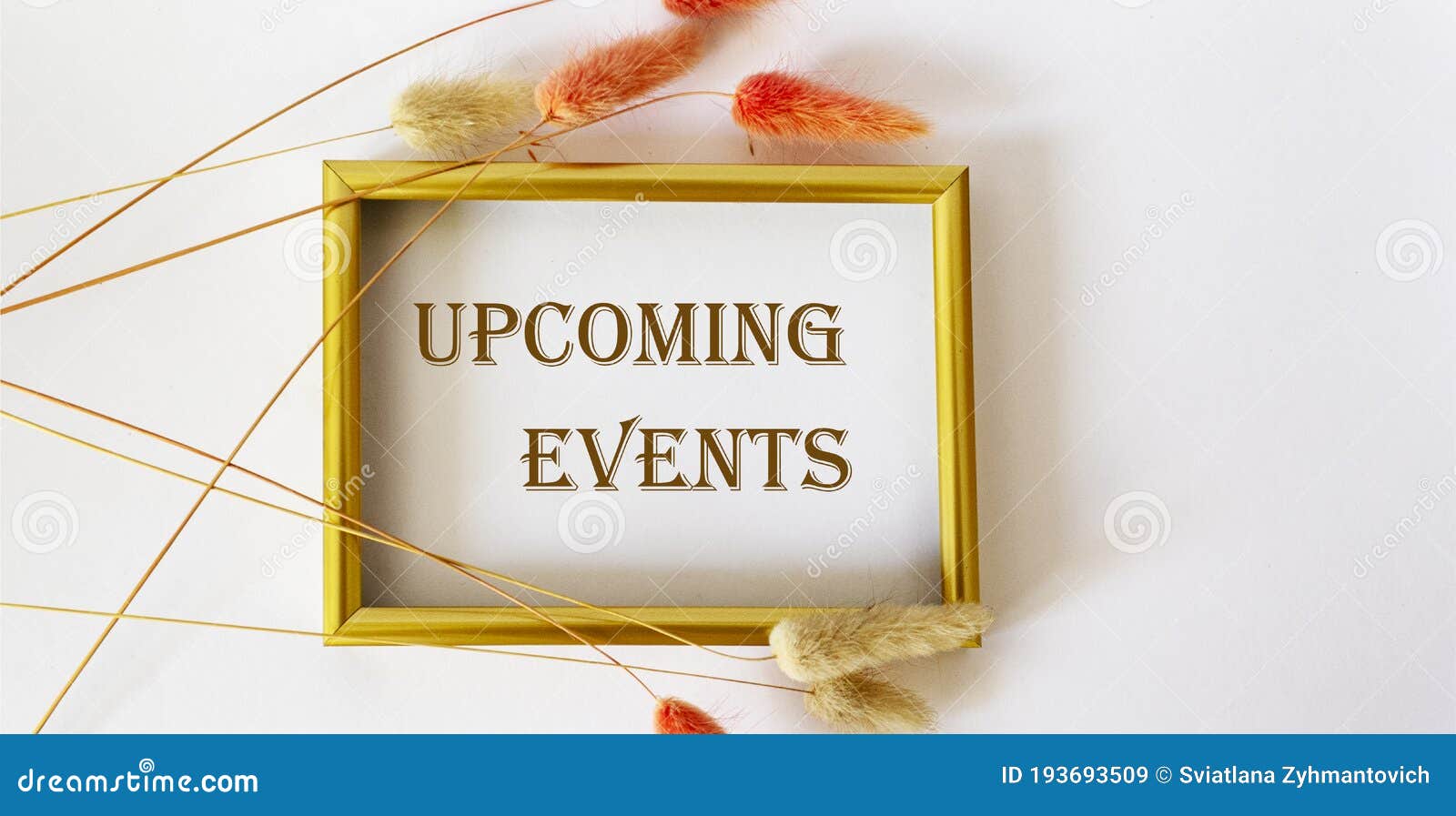 Upcoming Event Message on a Gold Frame with Dry Flowers Stock Image ...