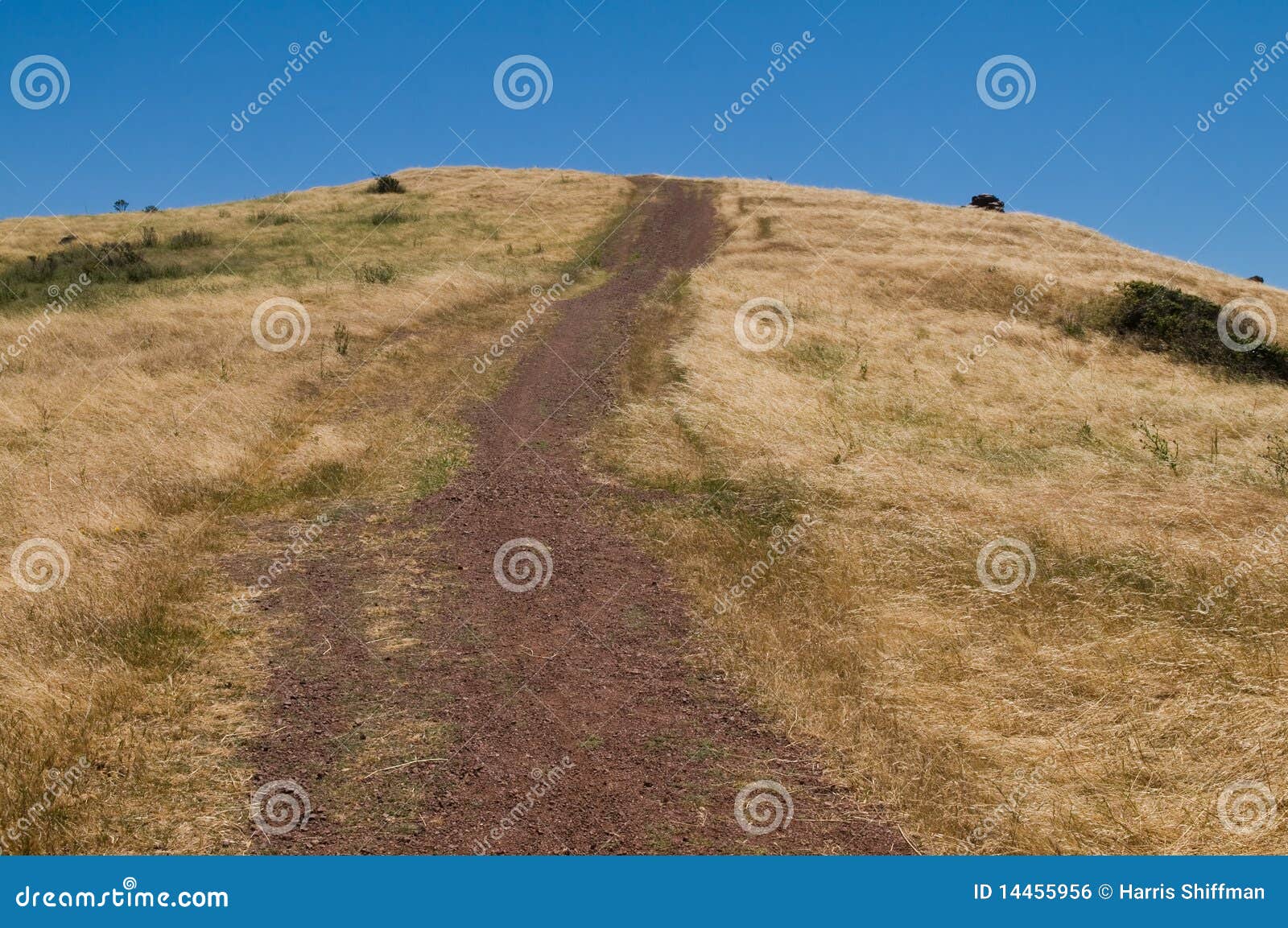 Uphill stock photo. Image of park, steep, path, regional - 14455956