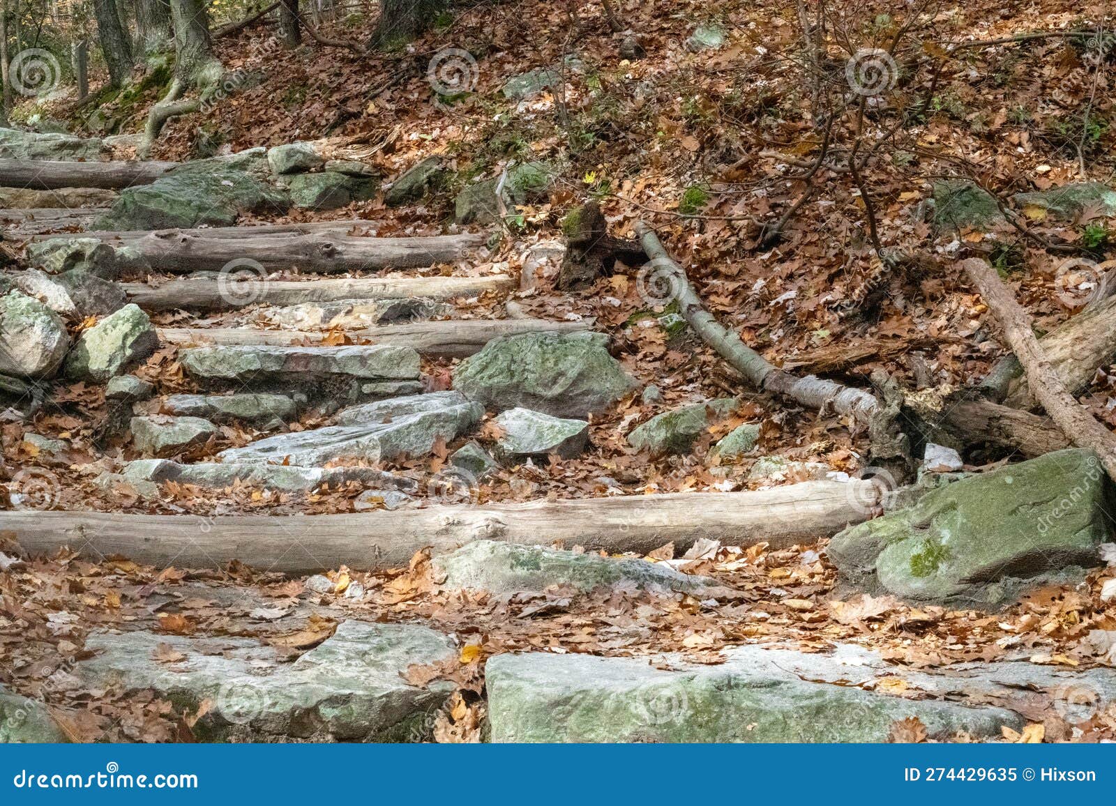Uphill log and rock path stock image. Image of dried - 274429635