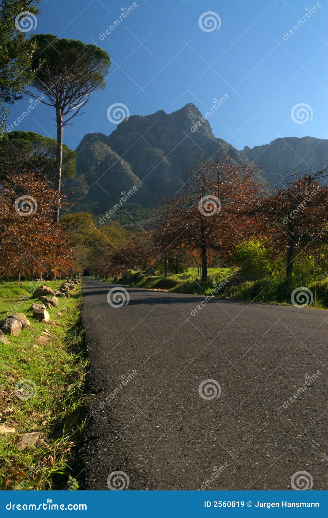 Uphill Road stock image. Image of town, cape, south, direction - 2560019