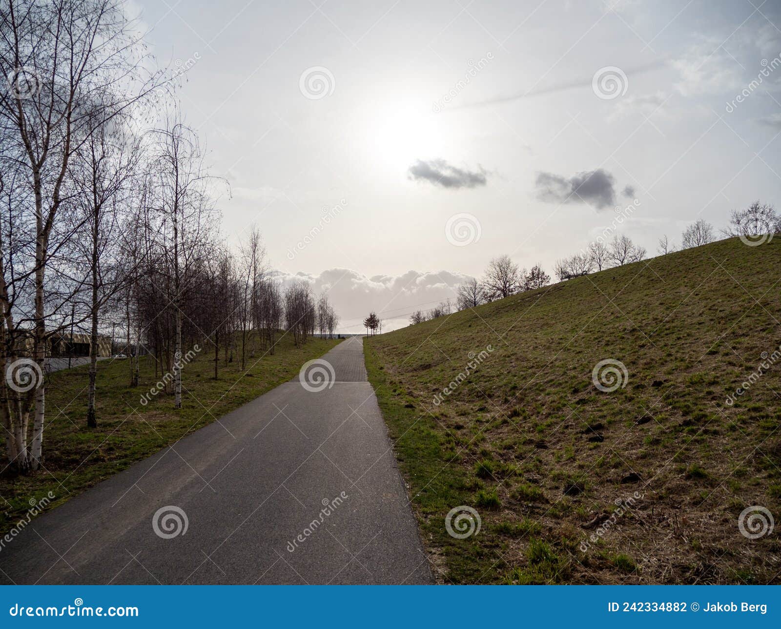 Uphill Road. Asphalt Path Uphill Stock Photo - Image of tree ...