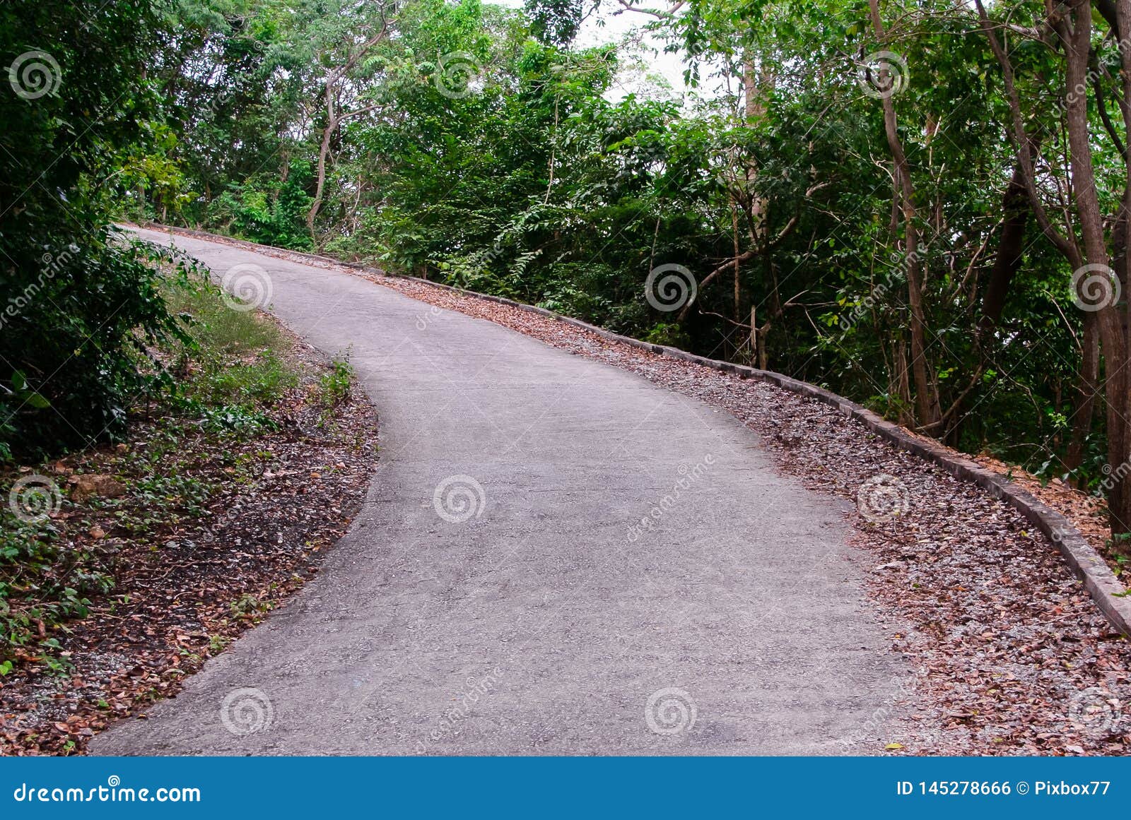 Uphill Road with Forest beside Stock Photo - Image of abandon, scenic ...