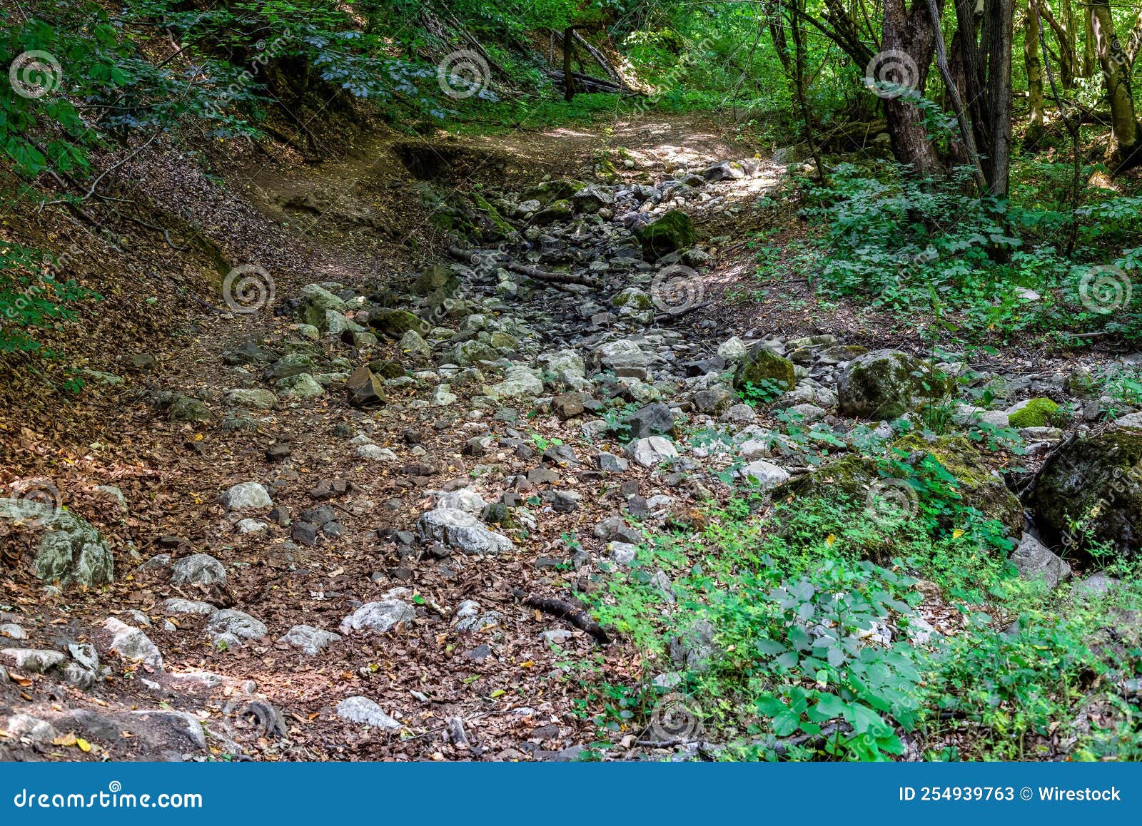 Uphill Rocky Staircase With Wooden Railing In A Dense Rain Forest Hill ...